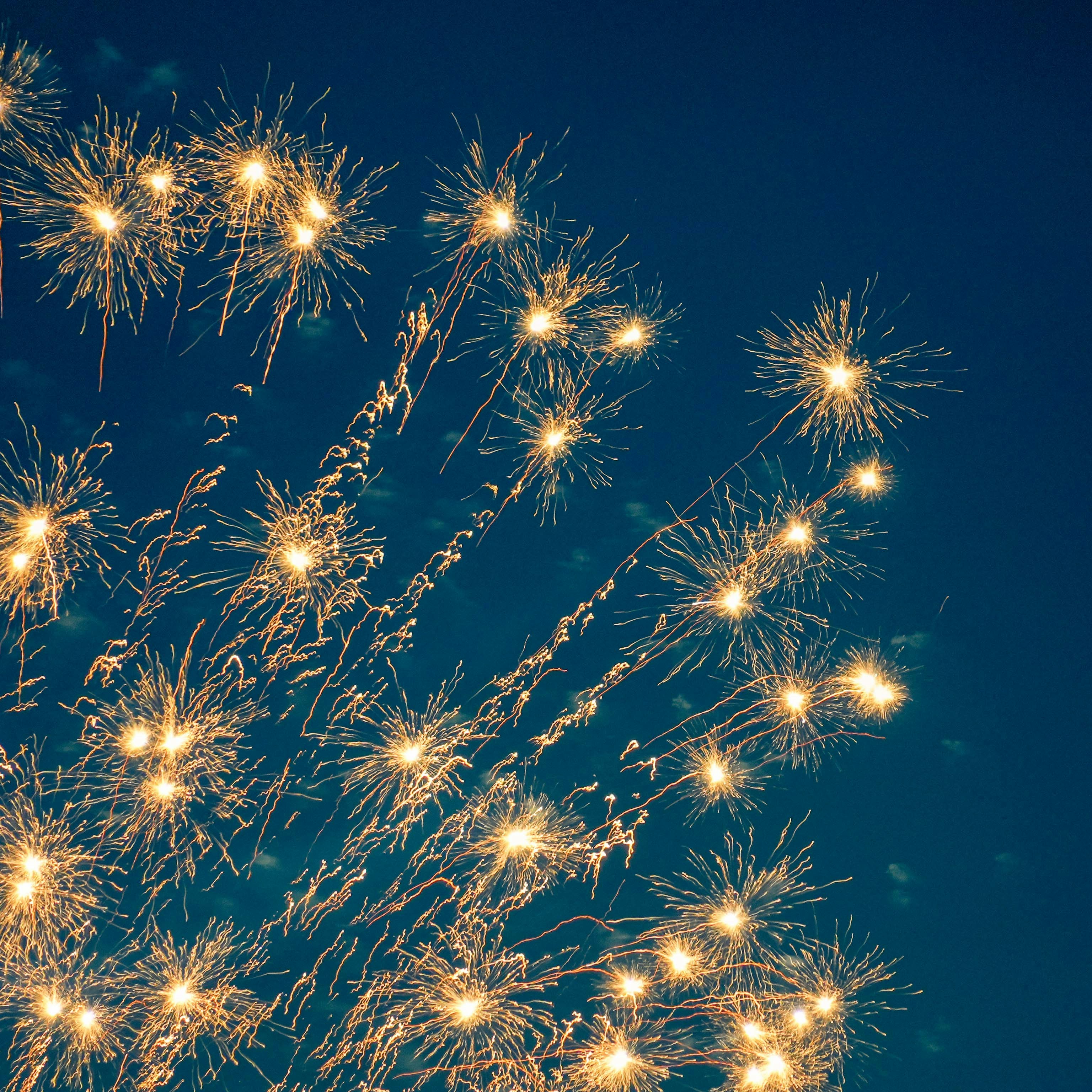 Photo by Anatoly Maltsev with Sony Alpha 7 IV