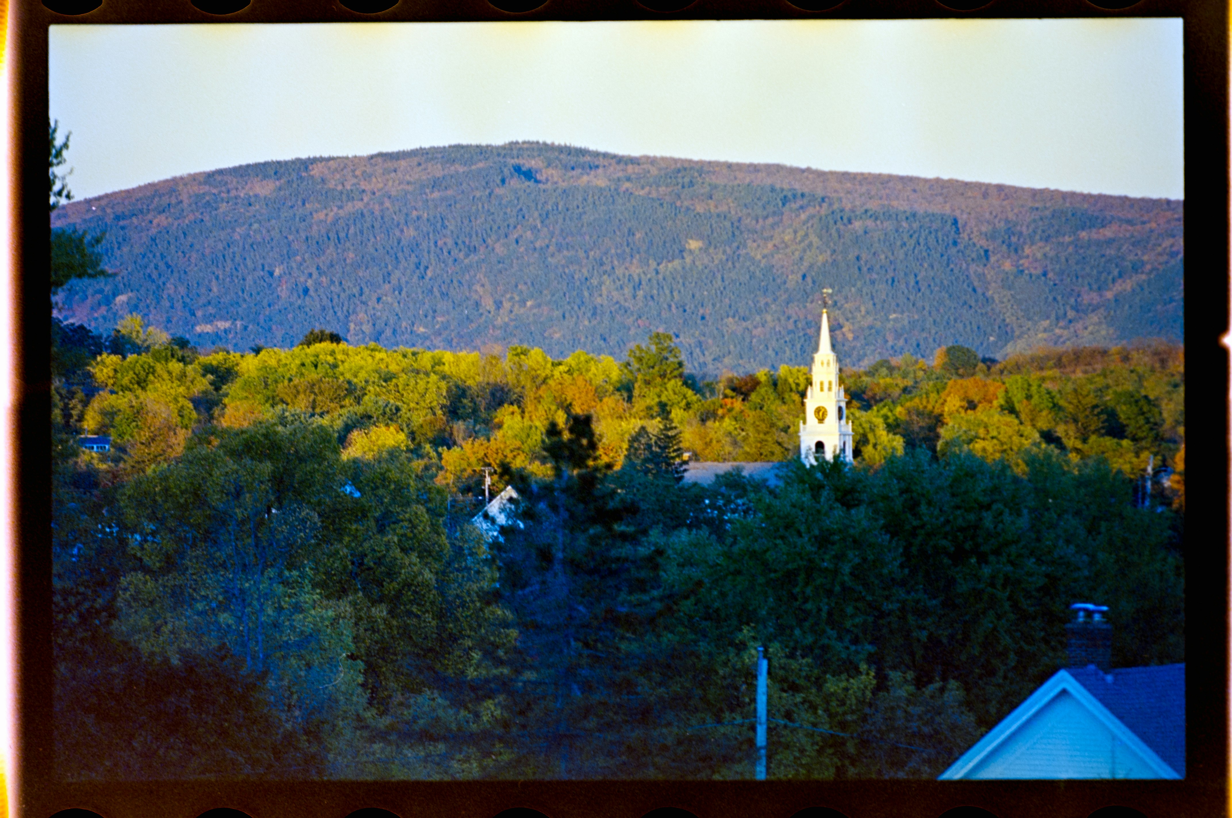 White Spire Through Autumn Pines: A Hill Town in Quiet Light