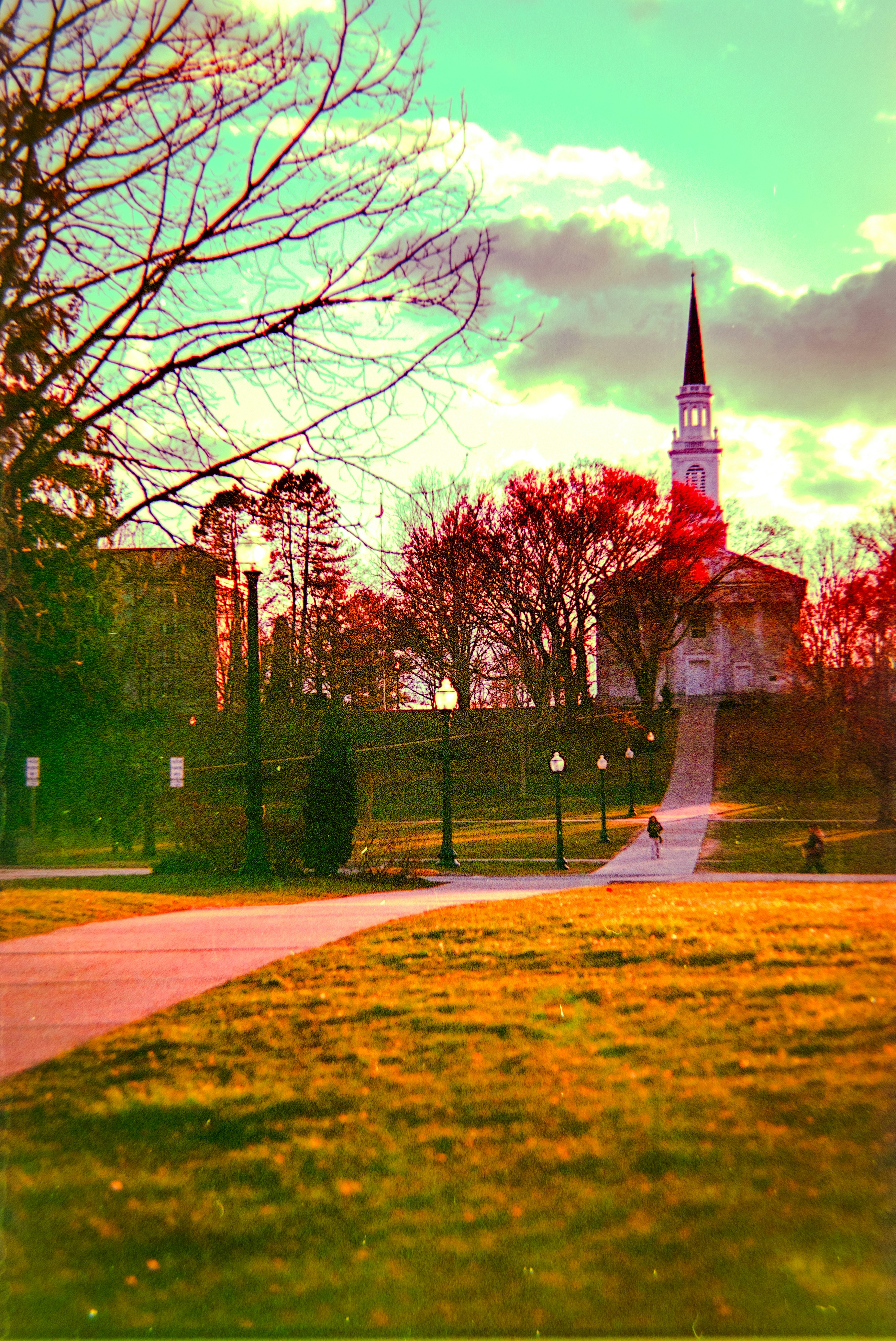 Photo by Austin with Sony Alpha 7R II