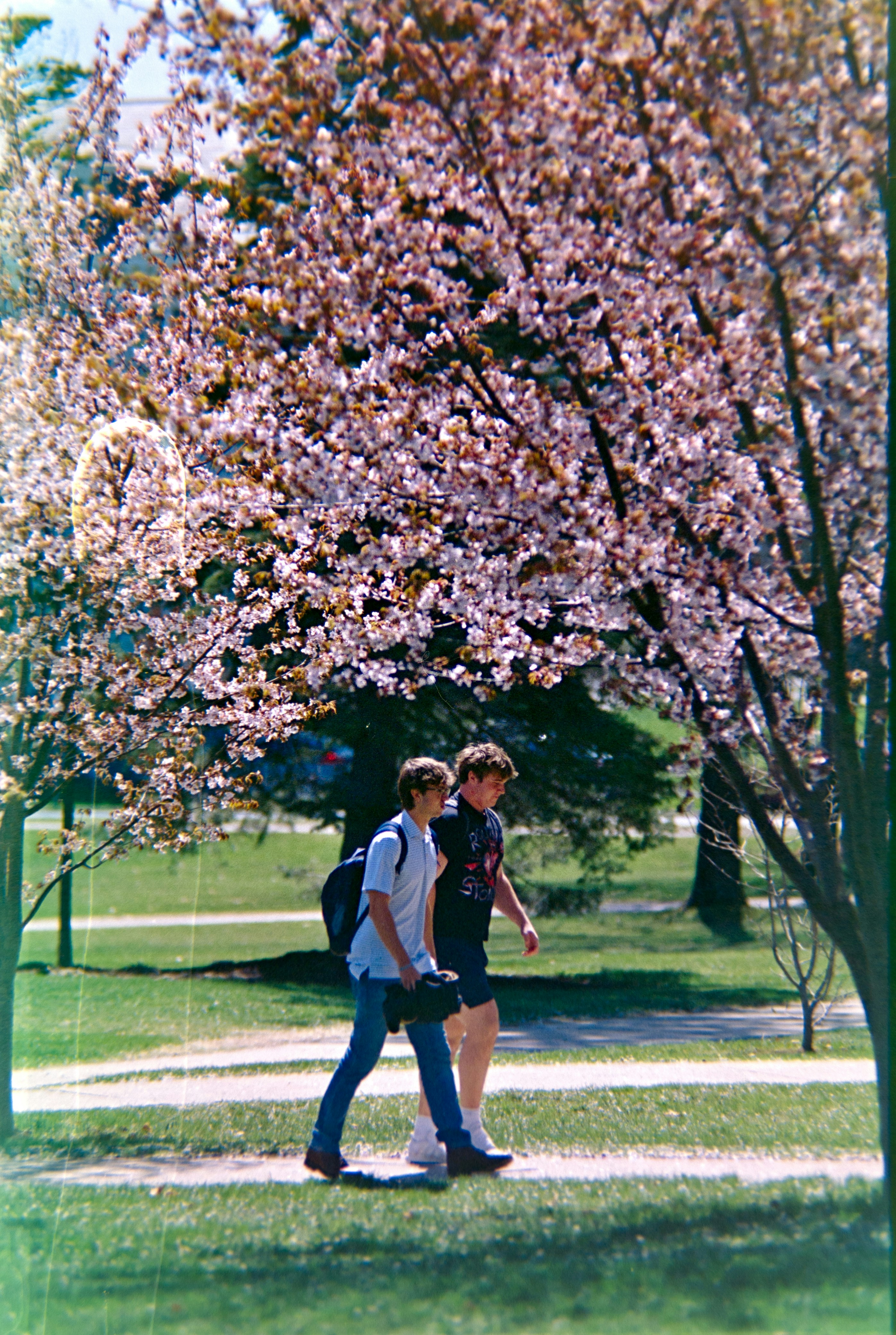 Photo by Austin with Sony Alpha 7R II