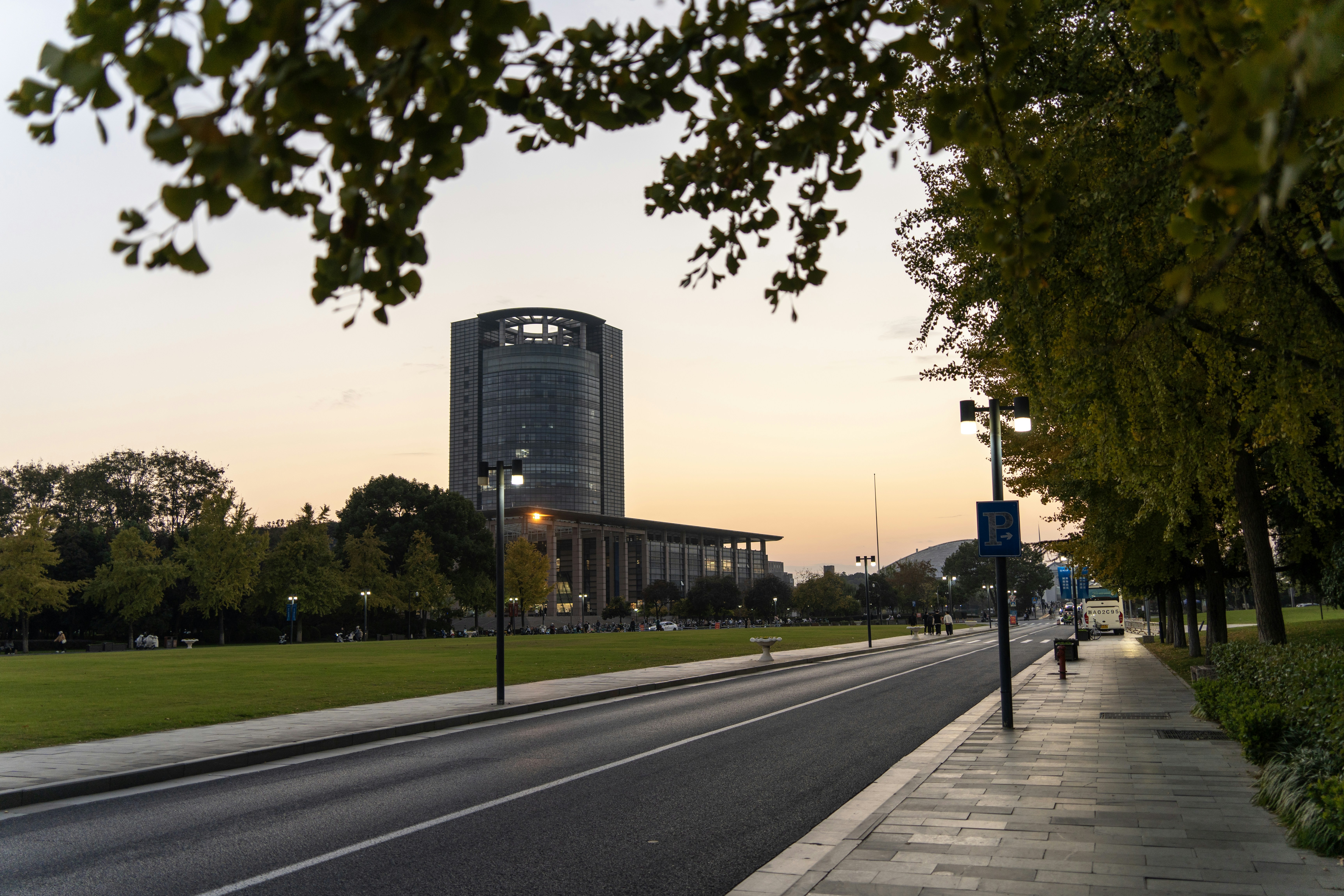 Photo by Yiran Ji with Sony Alpha 7 IV