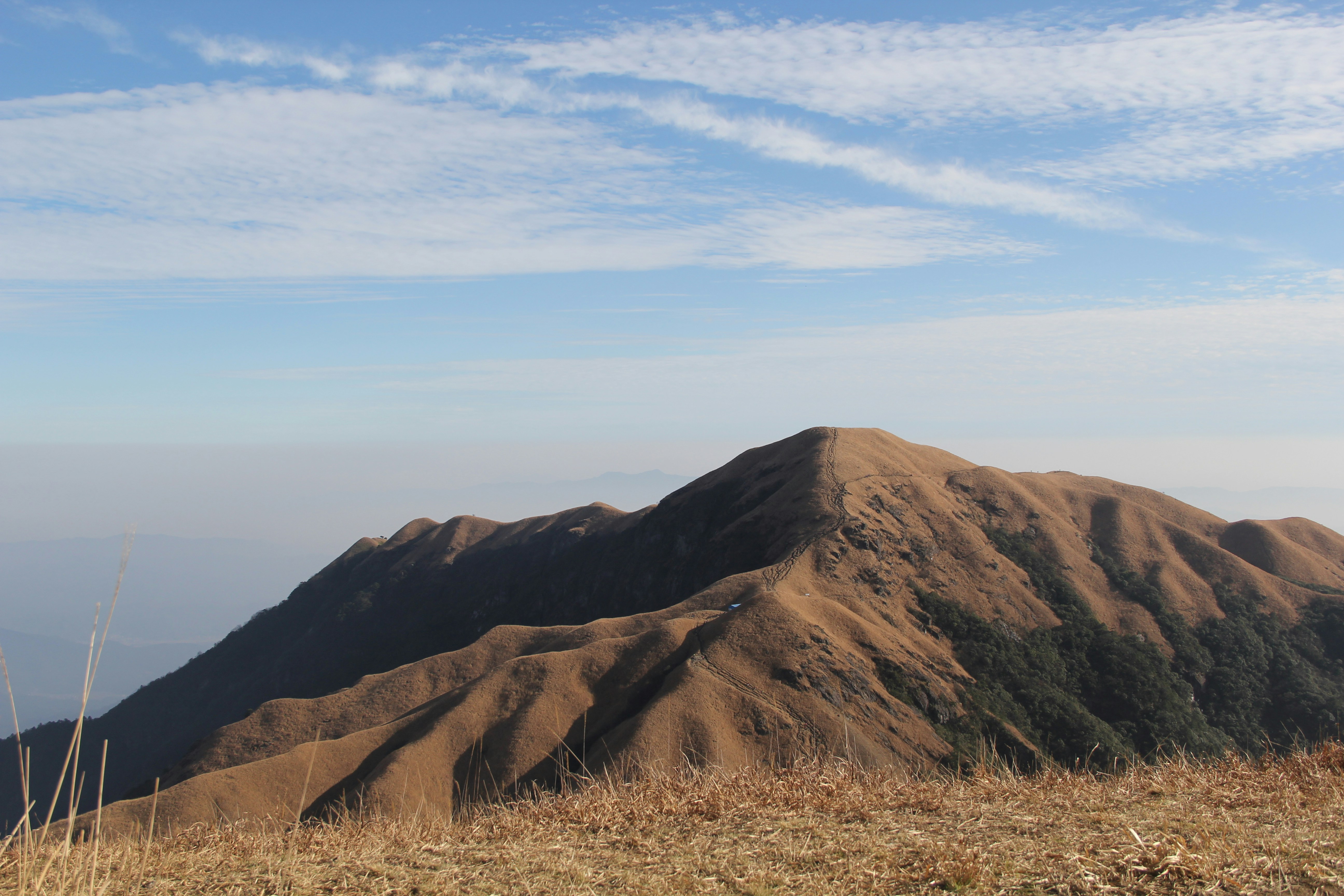 Sunlit Ridge Over a Sea of Dry Grass