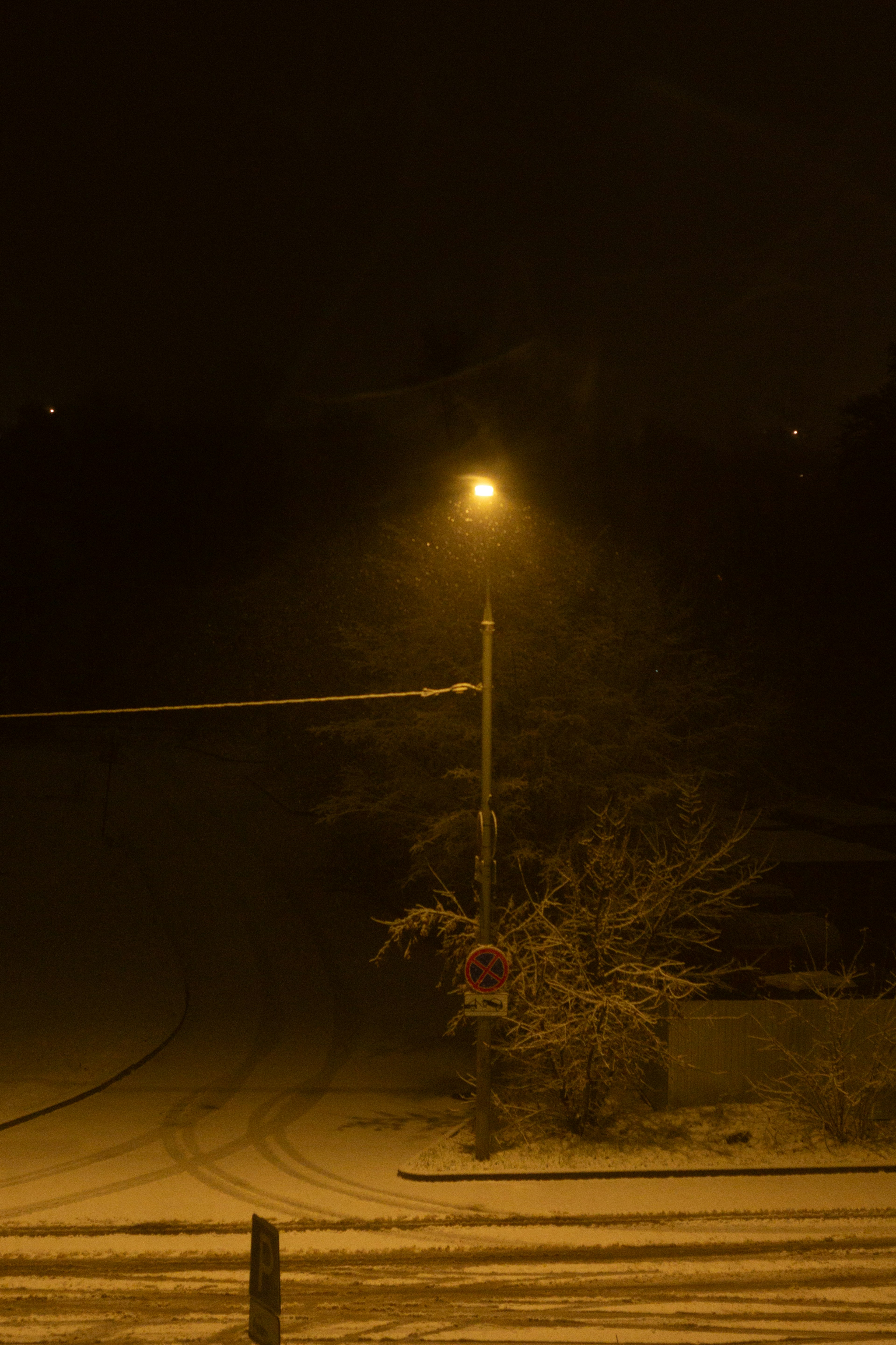 Photo by Ivan Baton with Canon EOS 5D Mark III