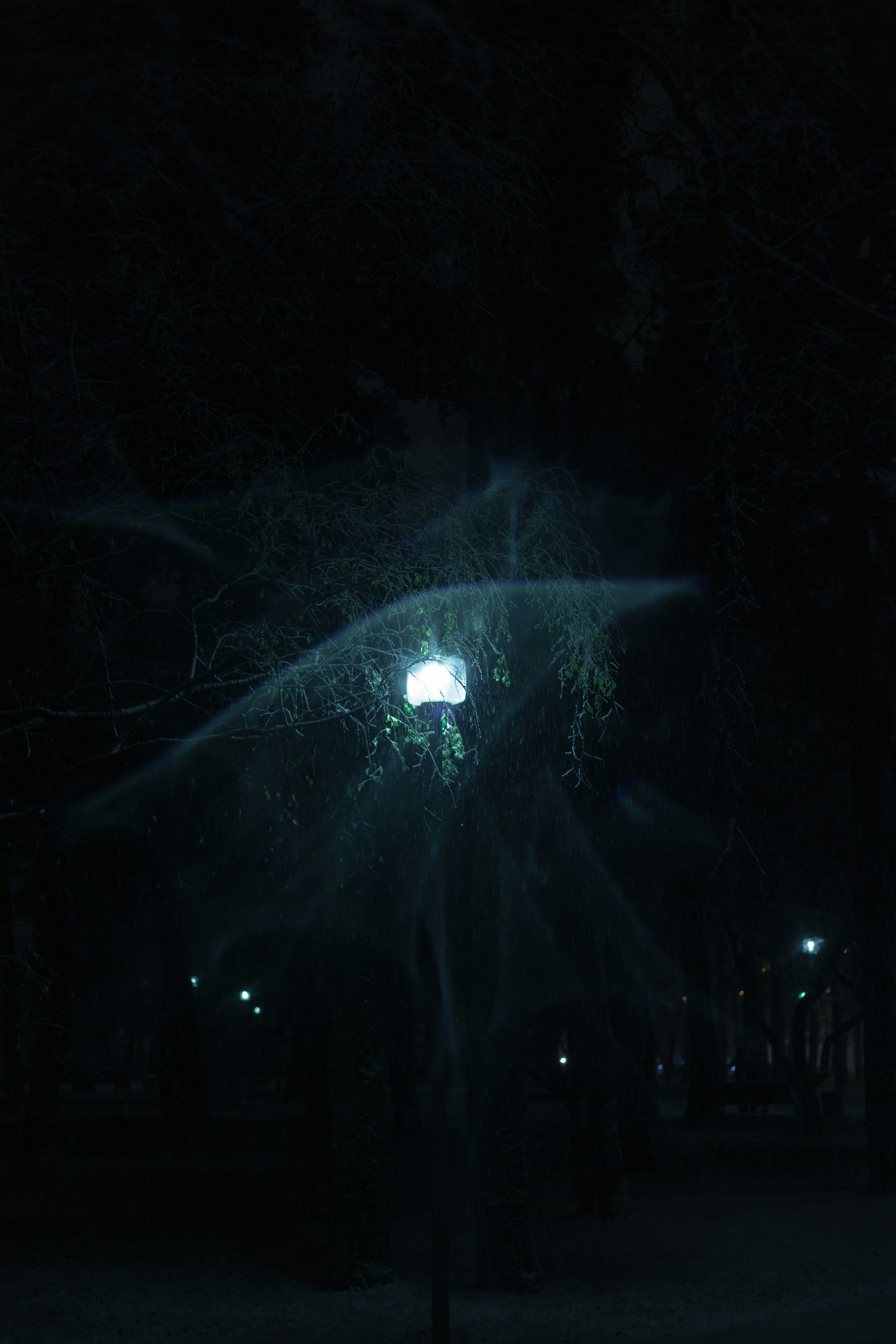 Photo by Ivan Baton with Canon EOS 5D Mark III