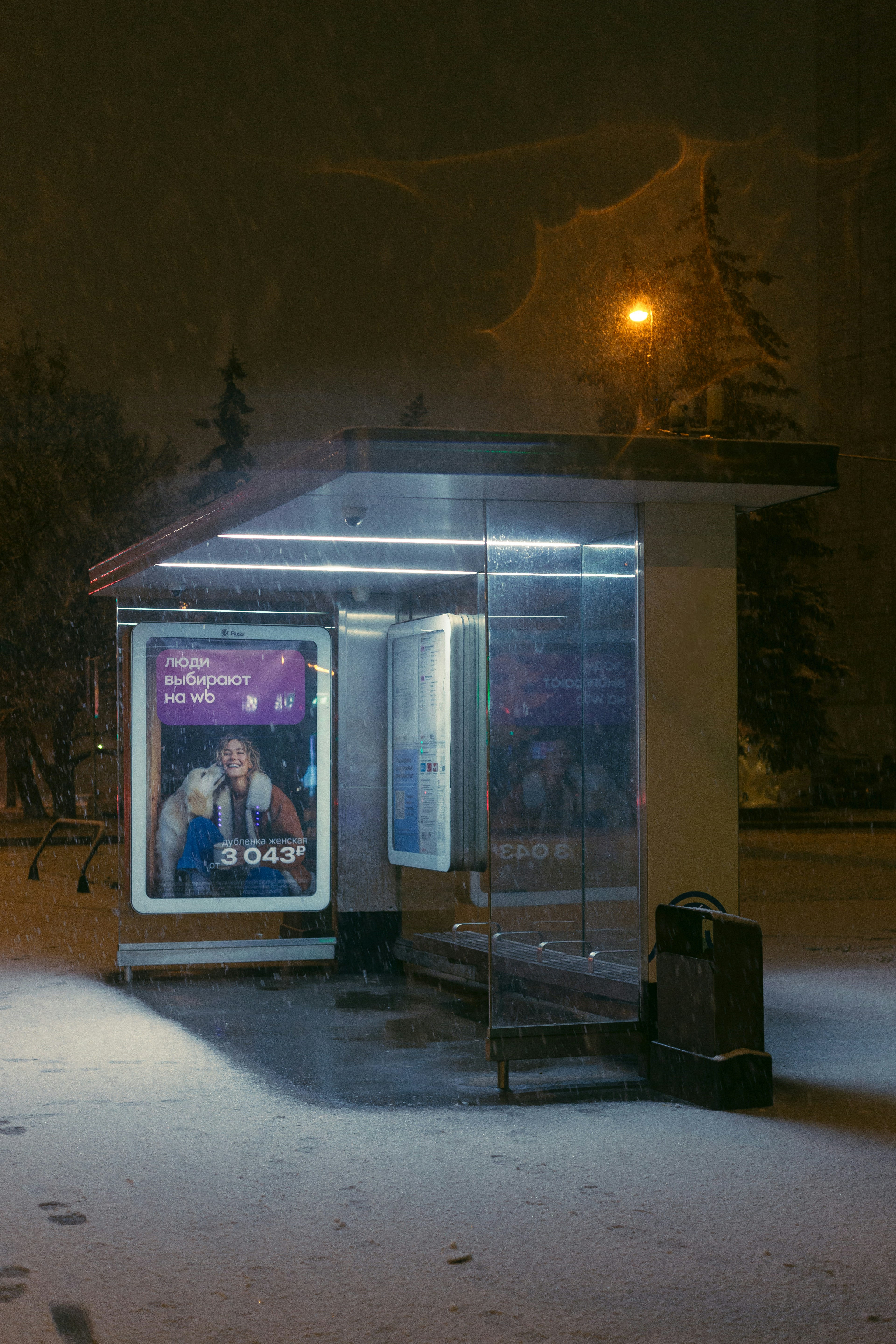 Neon Glow at a Snowy Night Bus Shelter