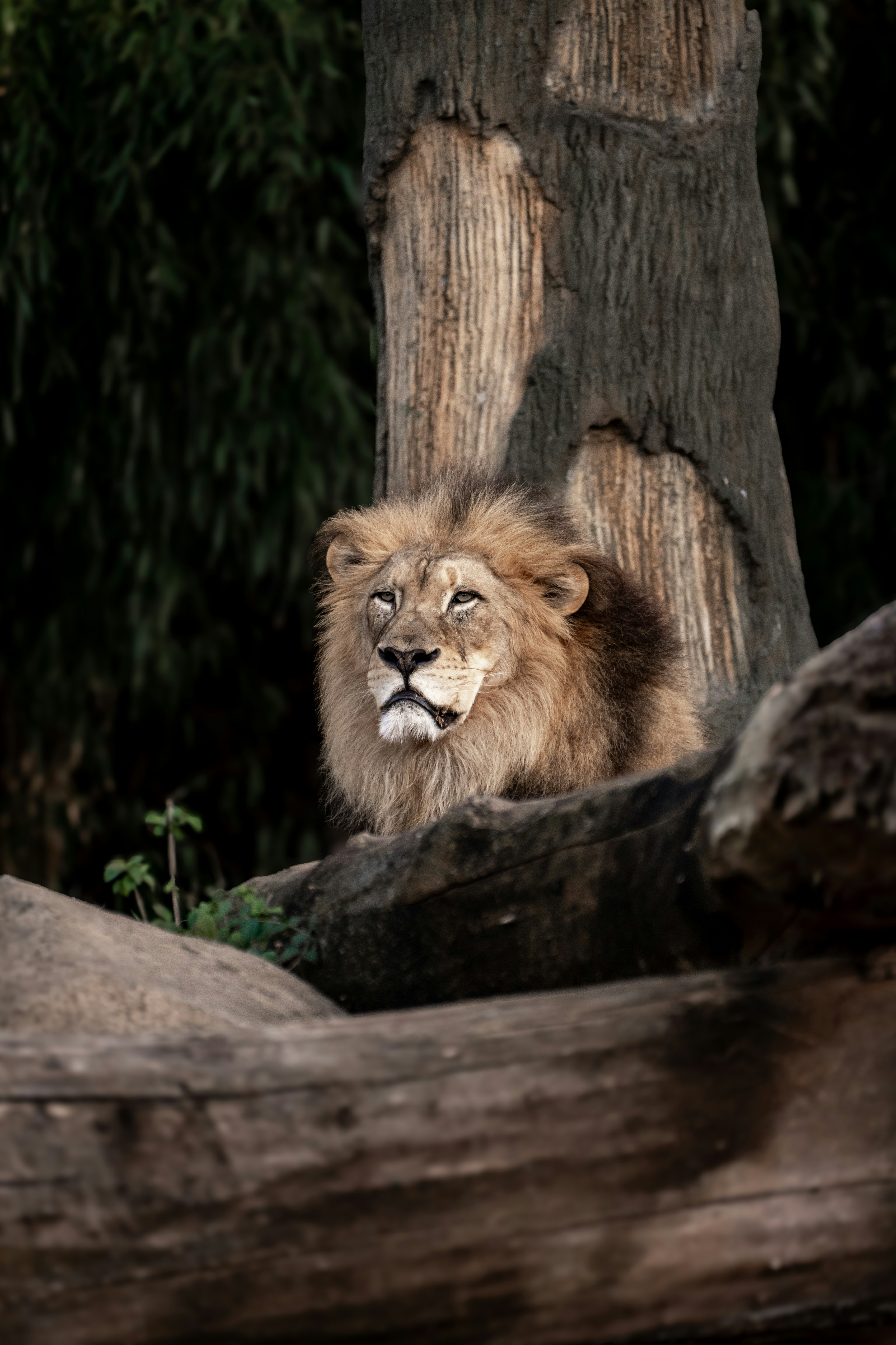 Photo by Chey Holliday with Sony Alpha 7 IV