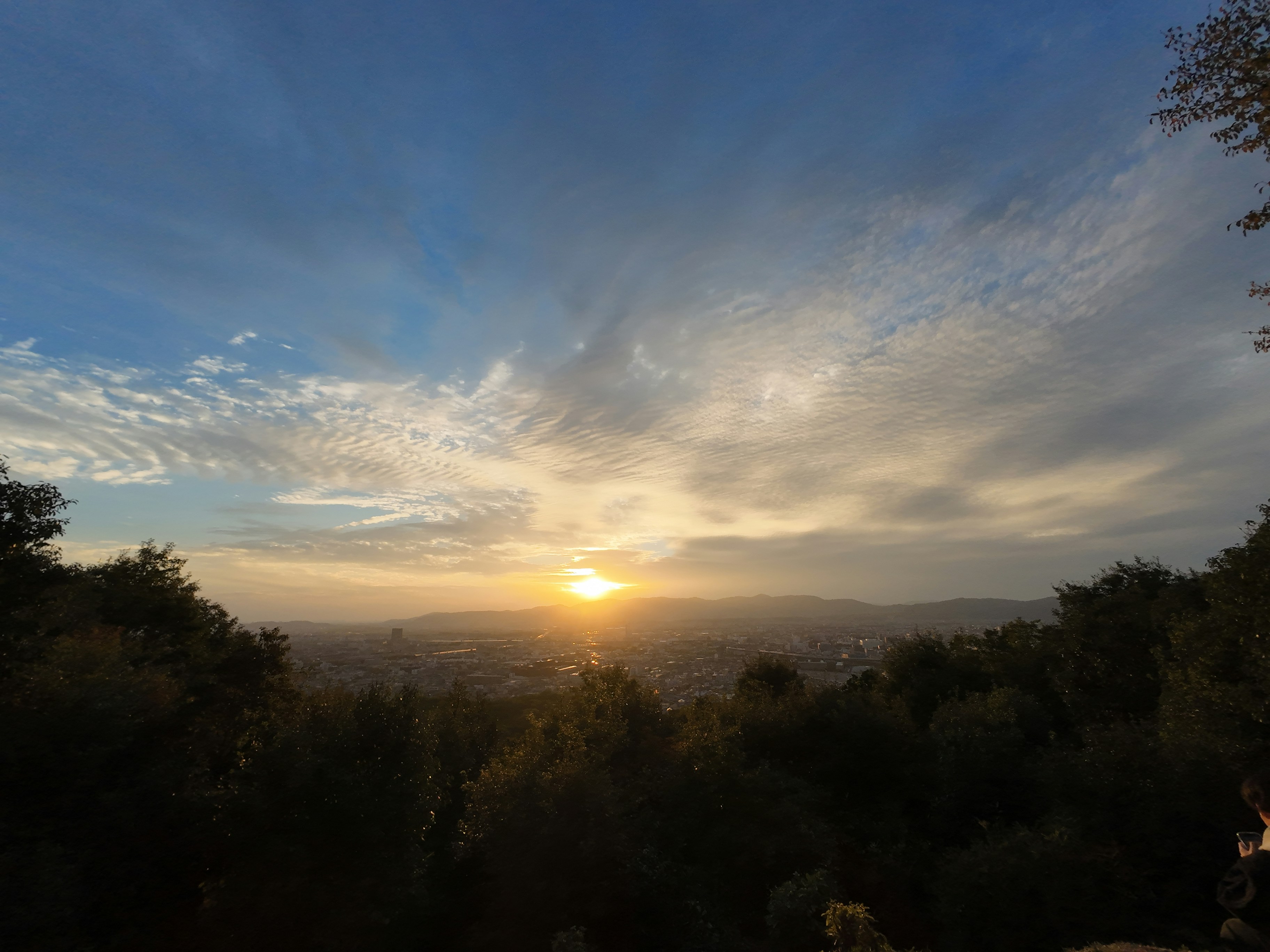 Sunset over a hazy valley with trees.