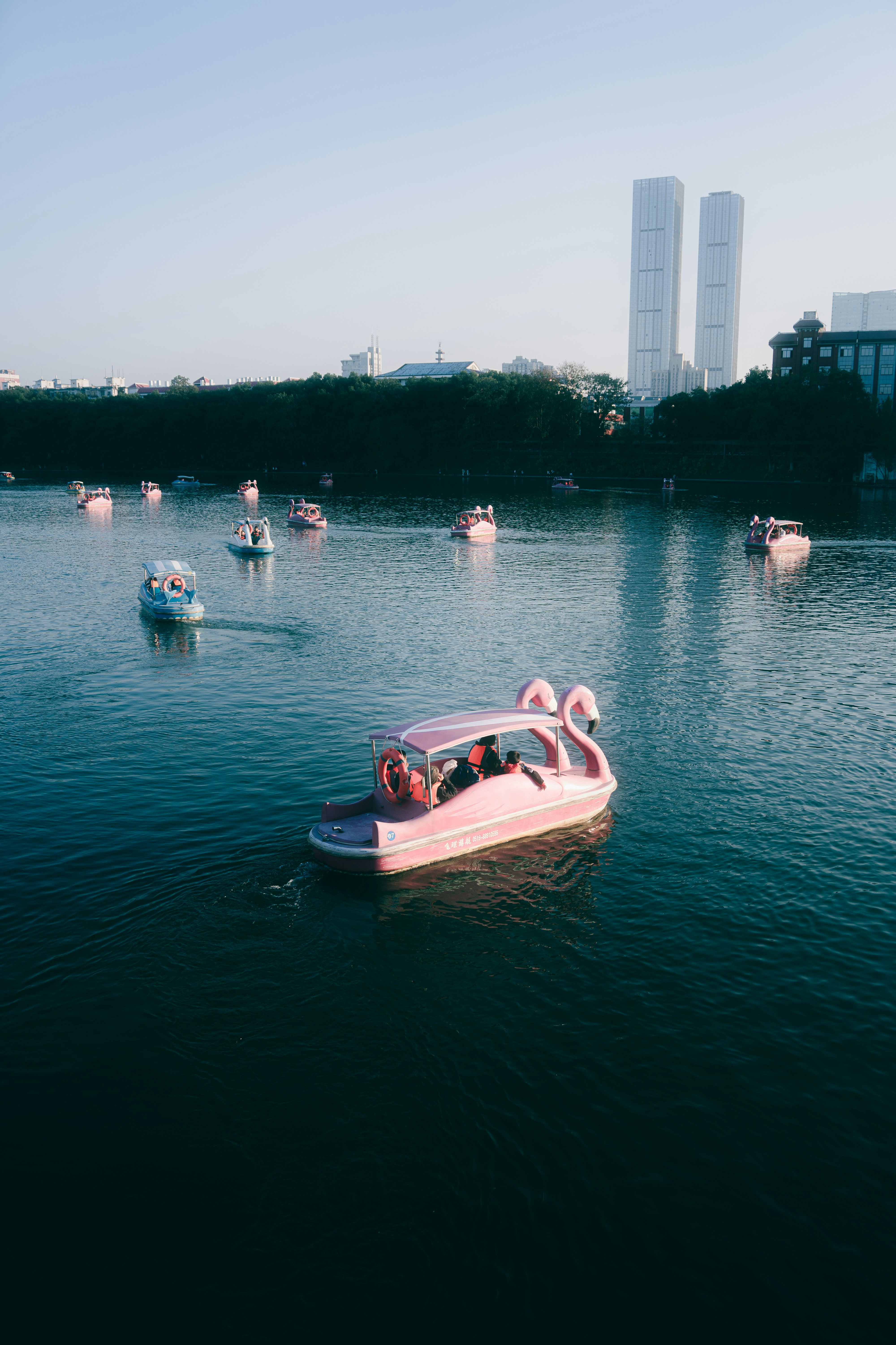 Pastel Swan Boats Drift Across a Quiet Urban Lake