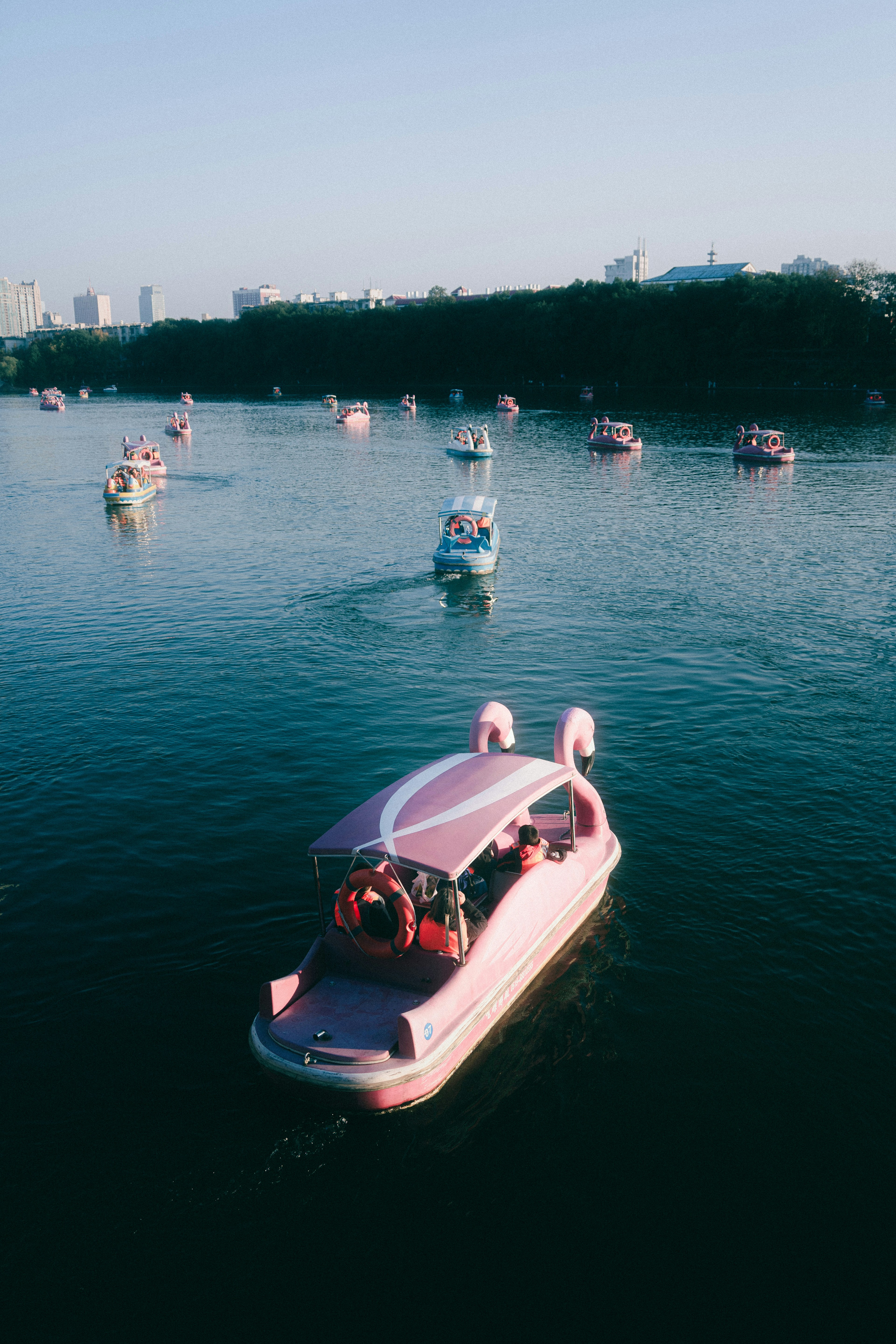 Photo by Patrick Shaun with Sony Alpha 7C