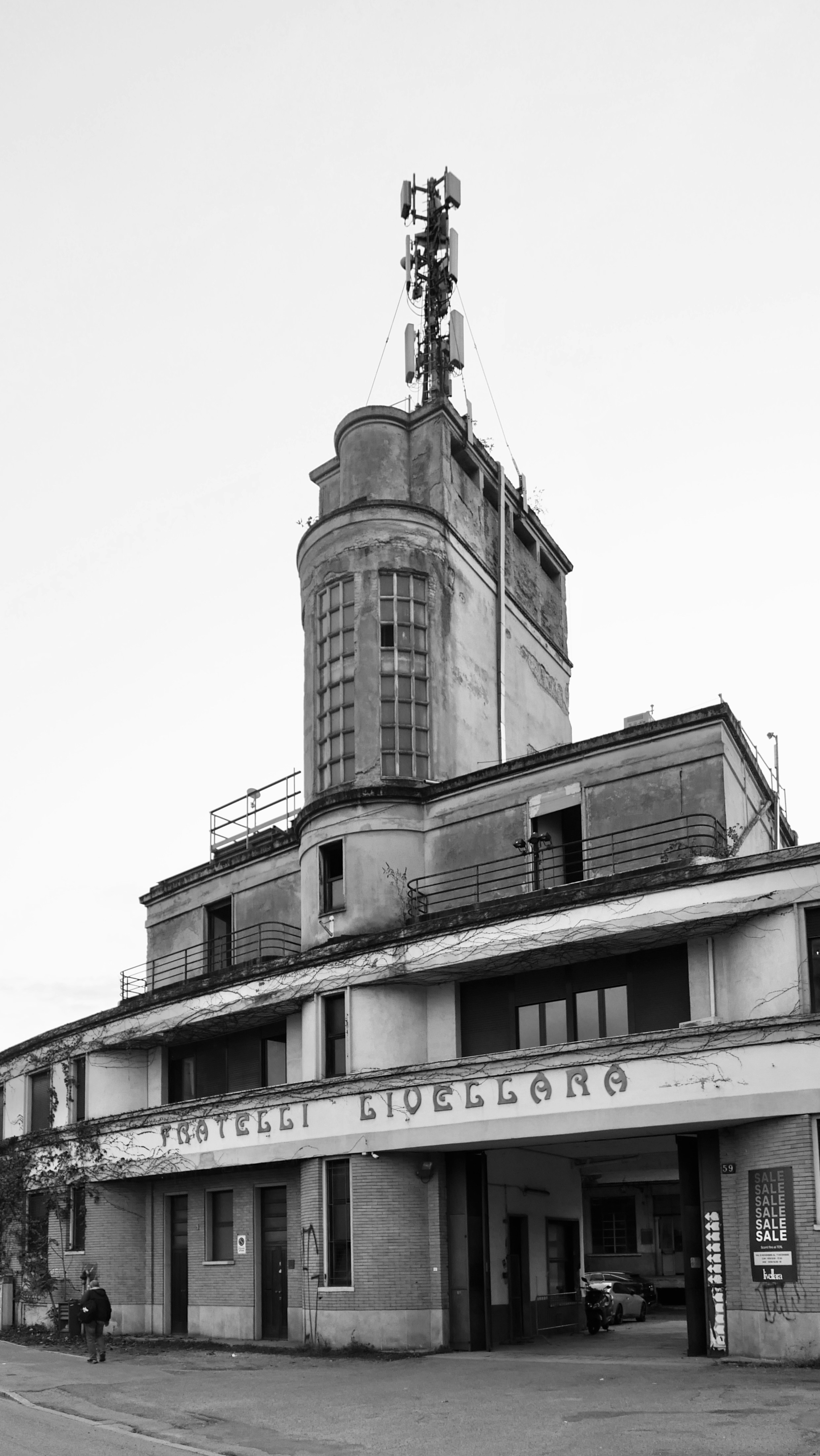 Crowns and Crumbling: Telecommunication Mast Over a Weathered Hotel