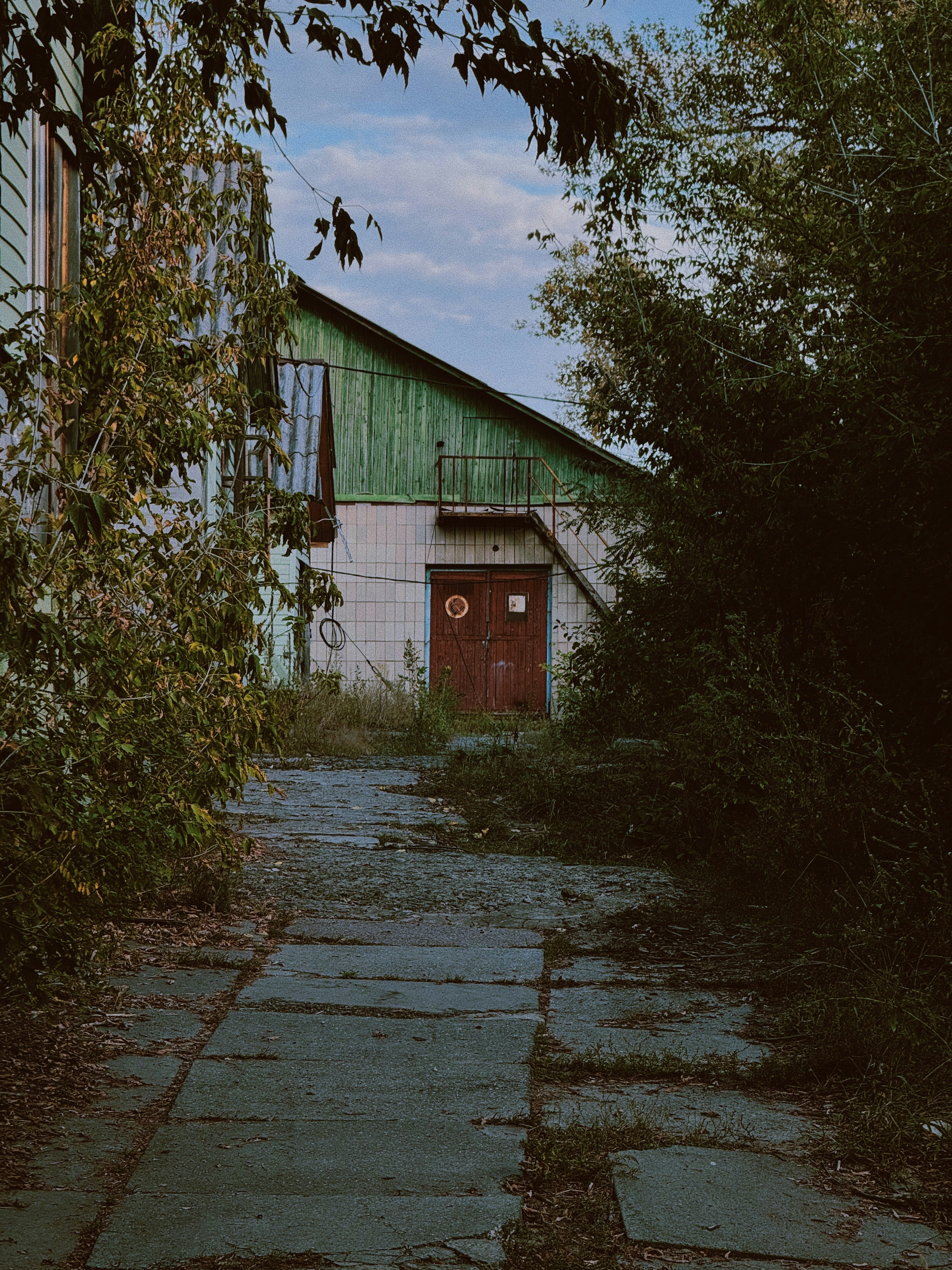 Doorway in a Green Facade: An Ivy-Framed Path to Quiet Decay