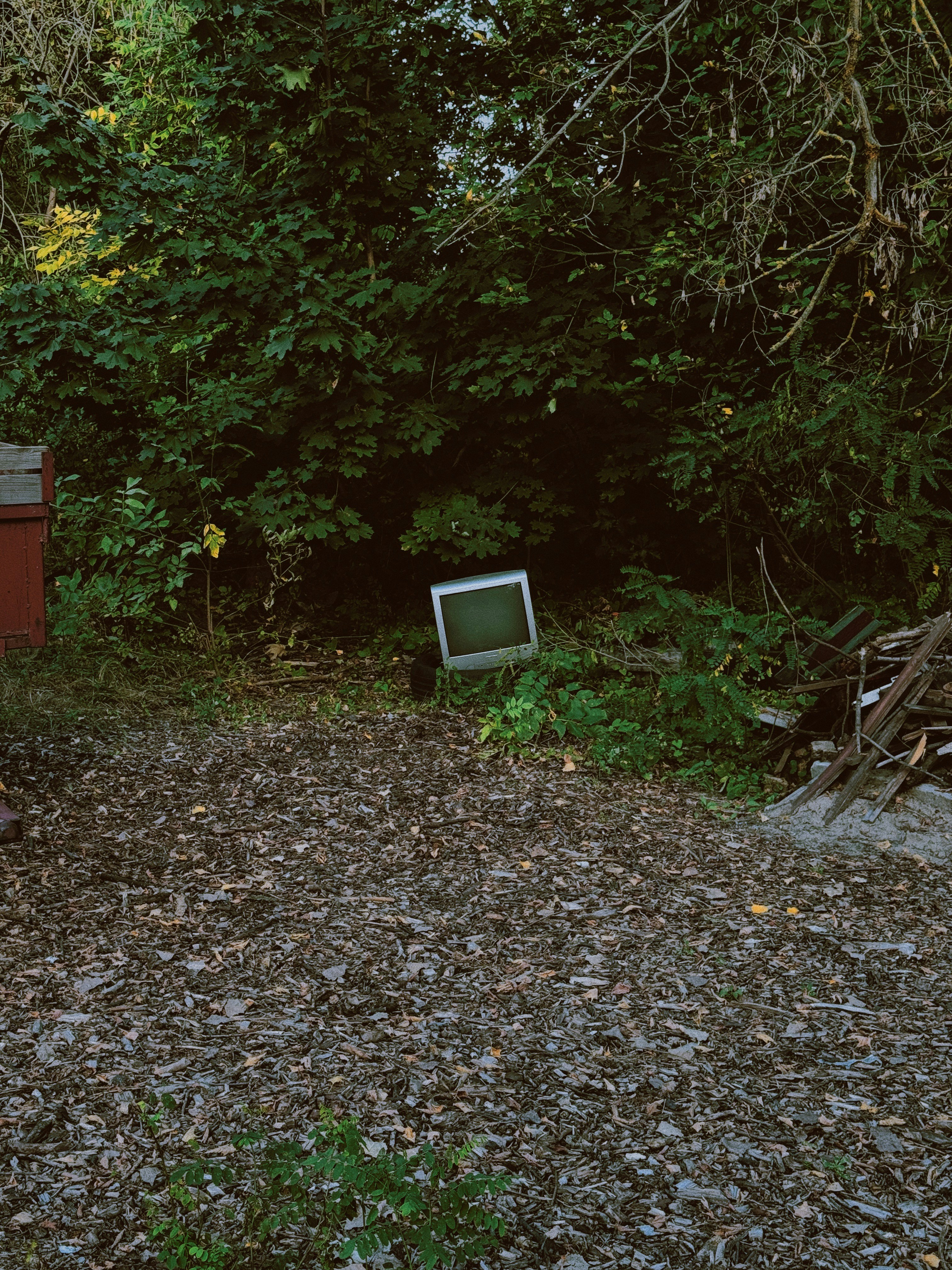 The Quiet Survivor: An Abandoned CRT Amid Overgrown Wilderness