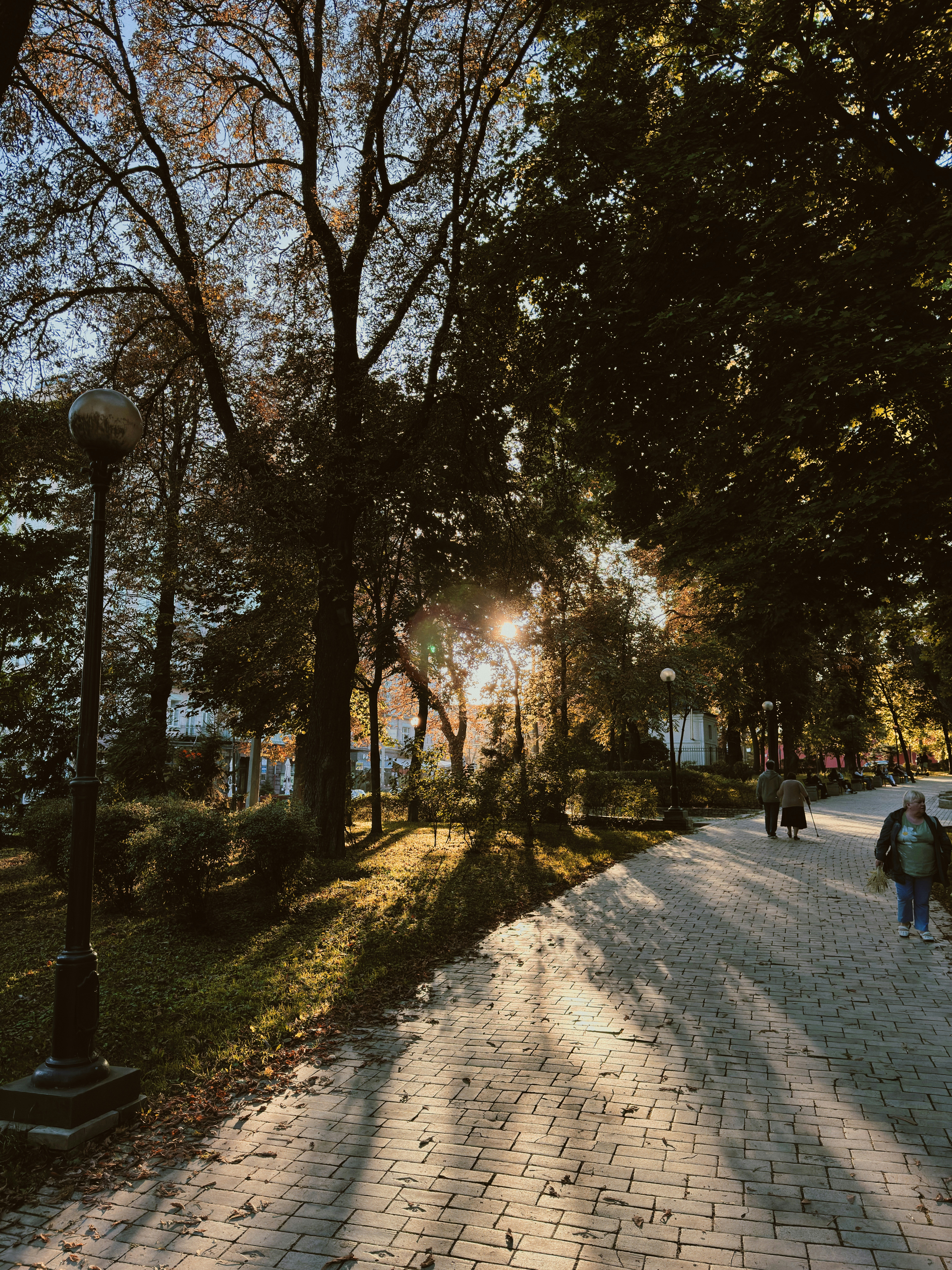 Processed with VSCO with fa1 preset