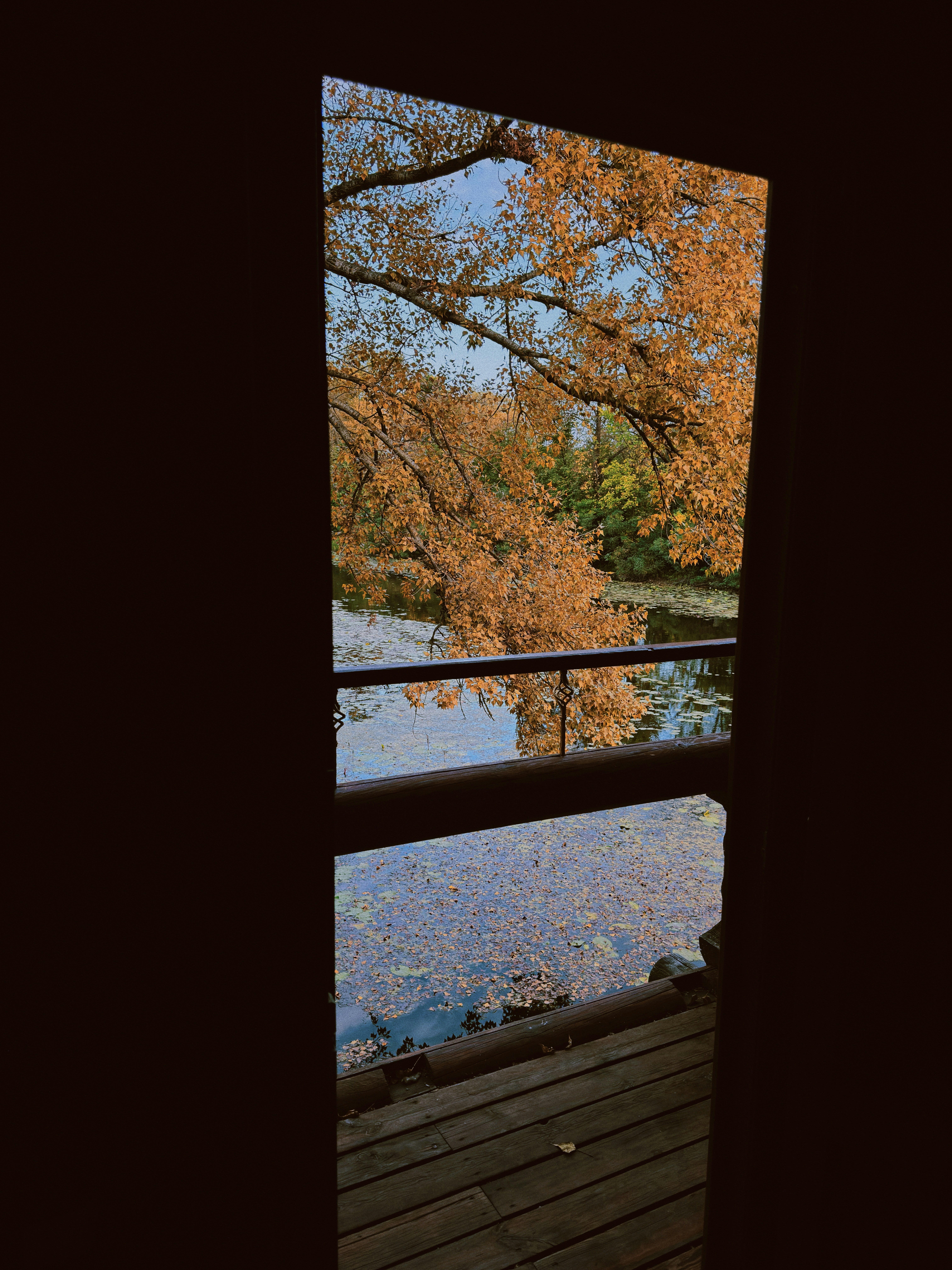 Autumn trees reflected in a calm lake photo – Free Blue sky Image on ...