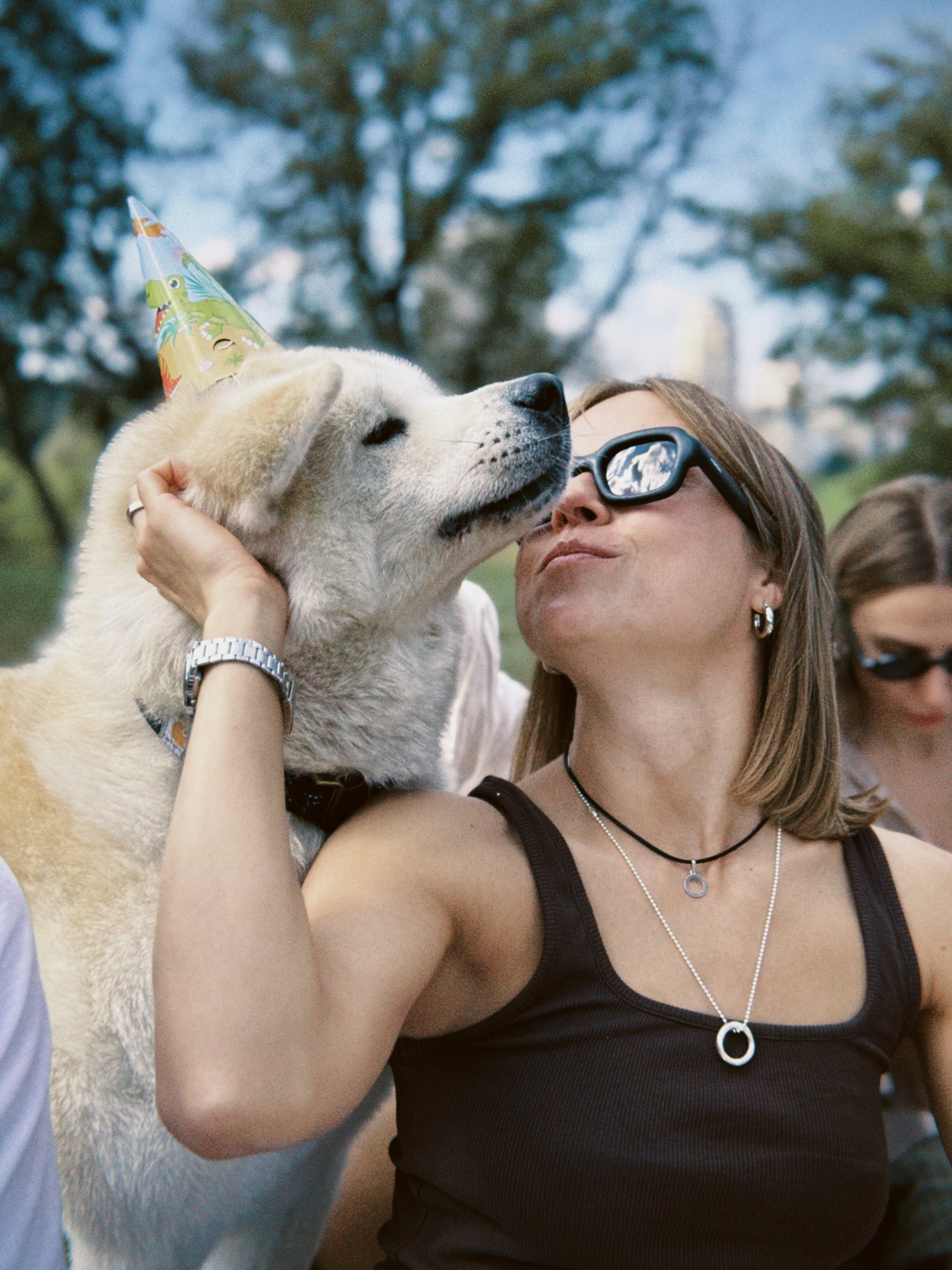 Birthday Kisses in the Park: A Dog in a Party Hat