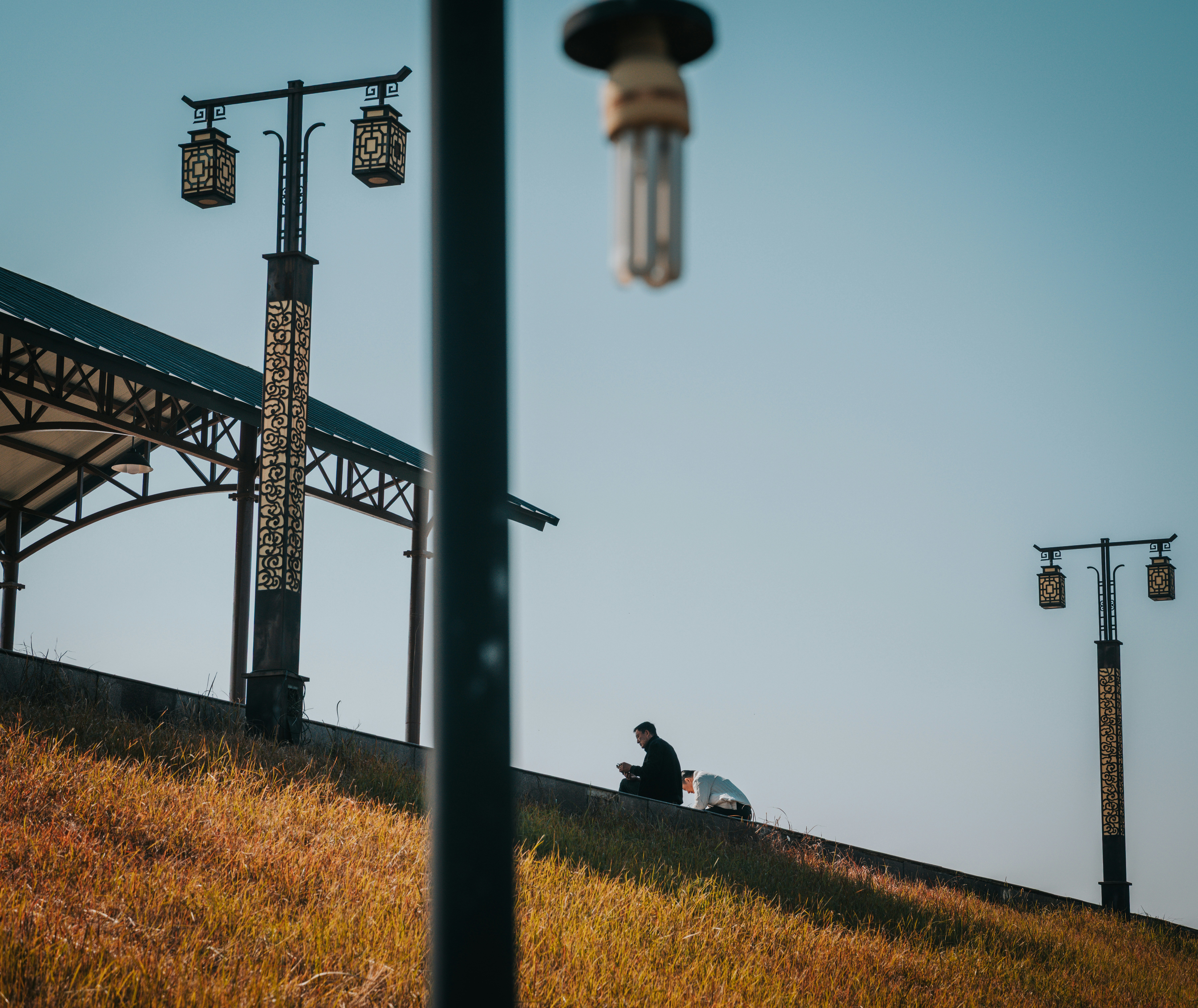 A Quiet Moment on the Slope Beneath Vintage Park Lamps