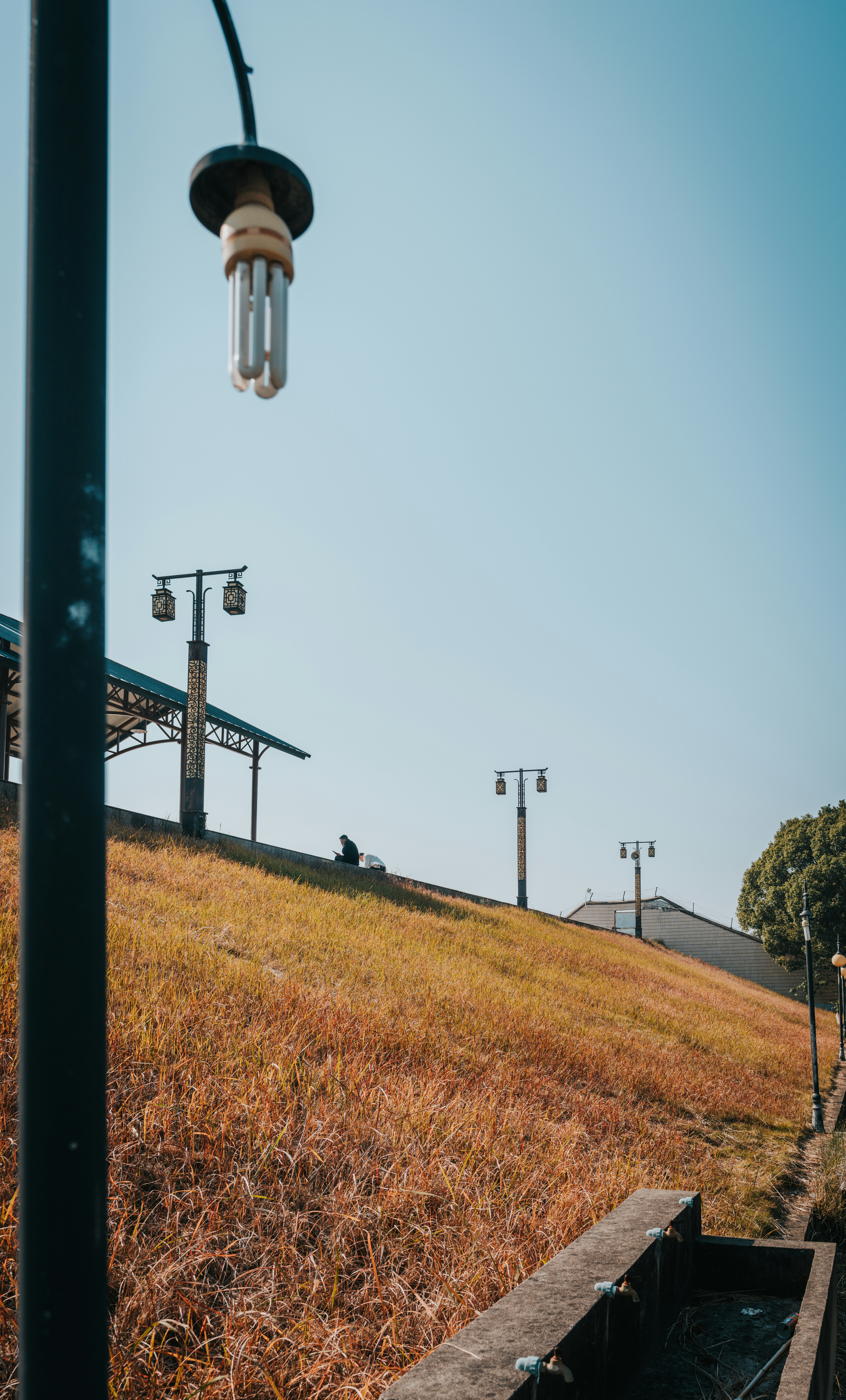 Lamppost on the Slope: A Quiet Moment Under a Clear Sky