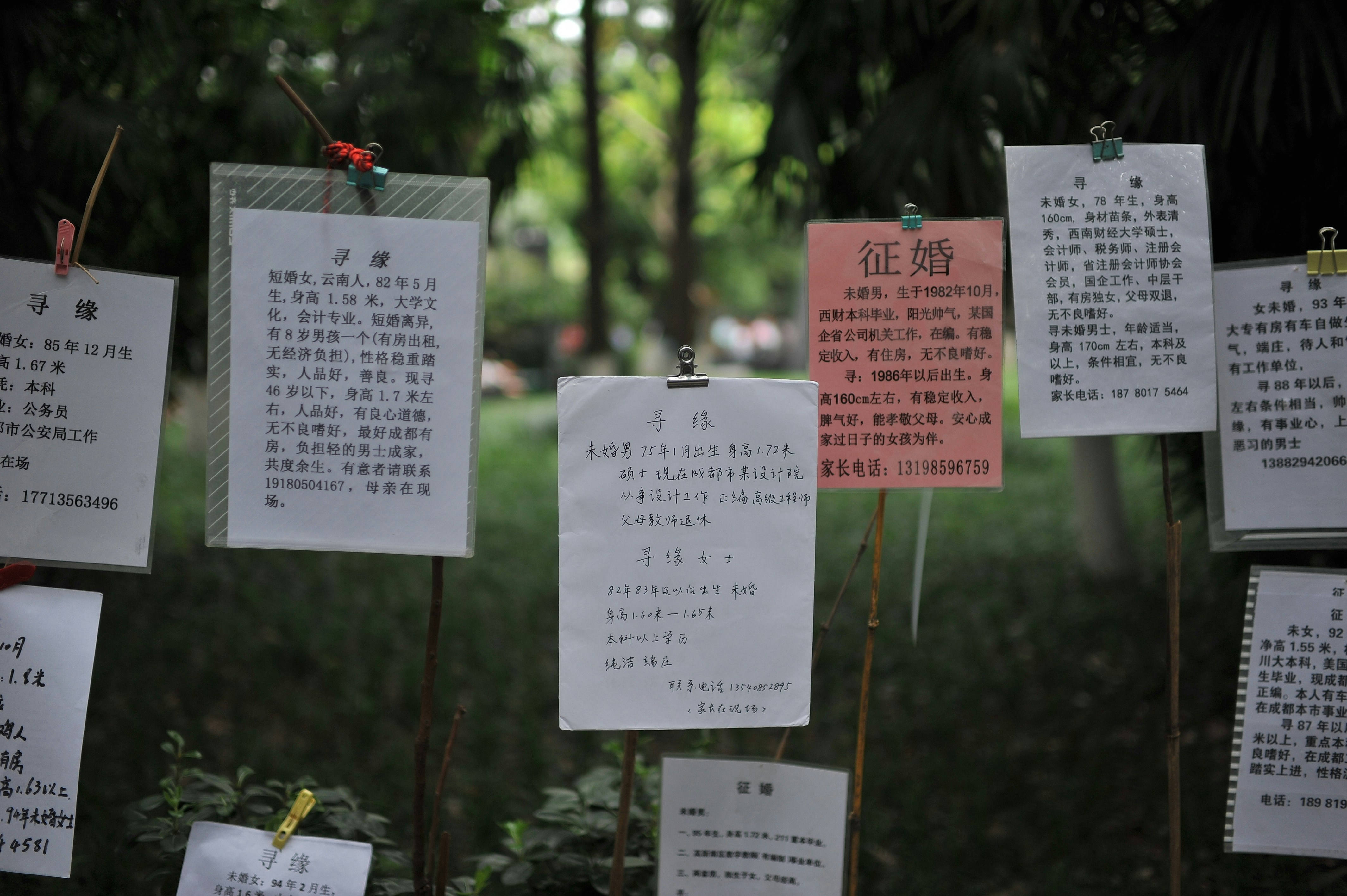 Notes on the Wire: A Garden Bulletin Fluttering in the Breeze