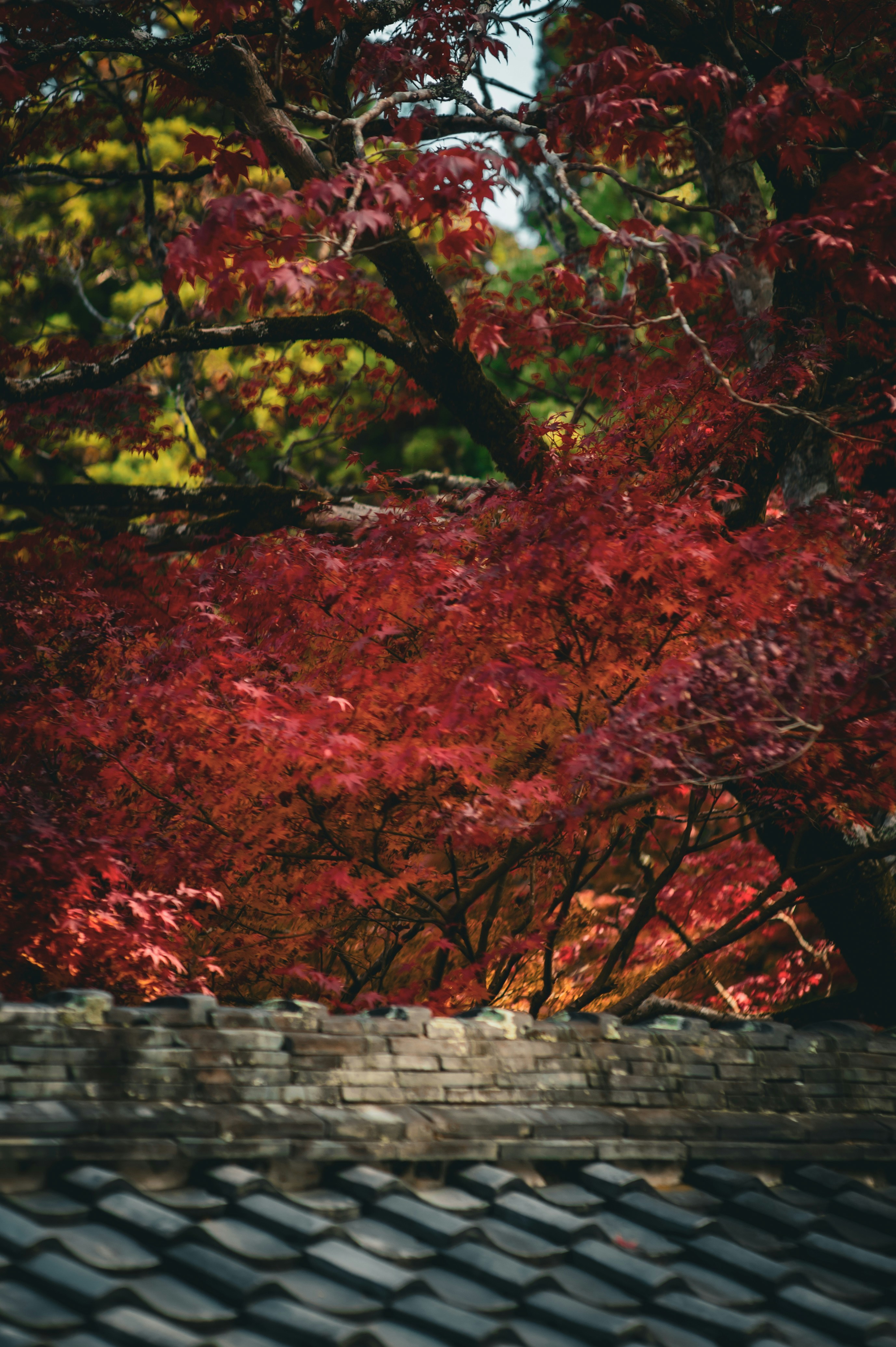 Photo by 5010 with Nikon Df