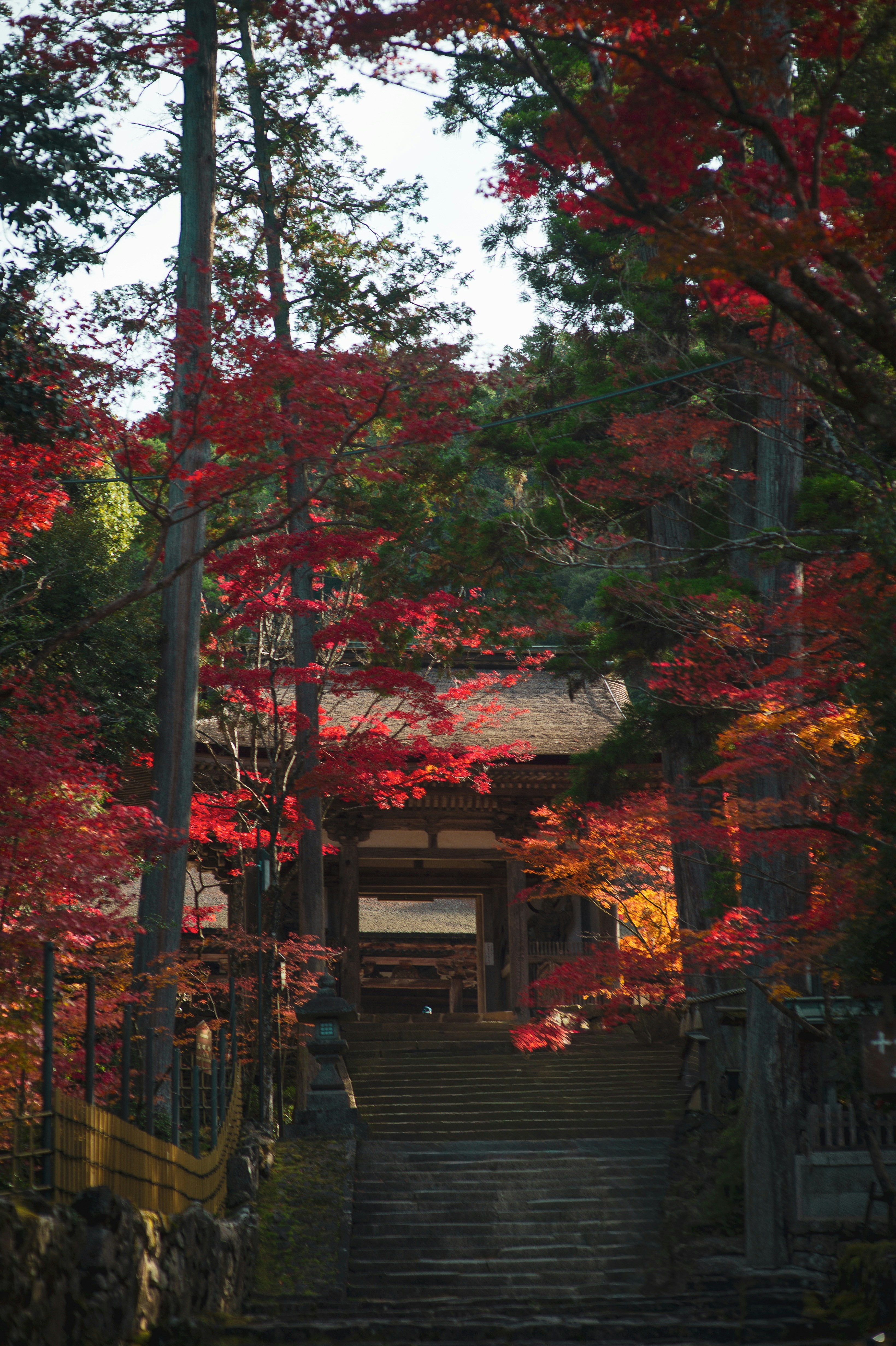 Crimson Staircase: Path to the Temple Gate