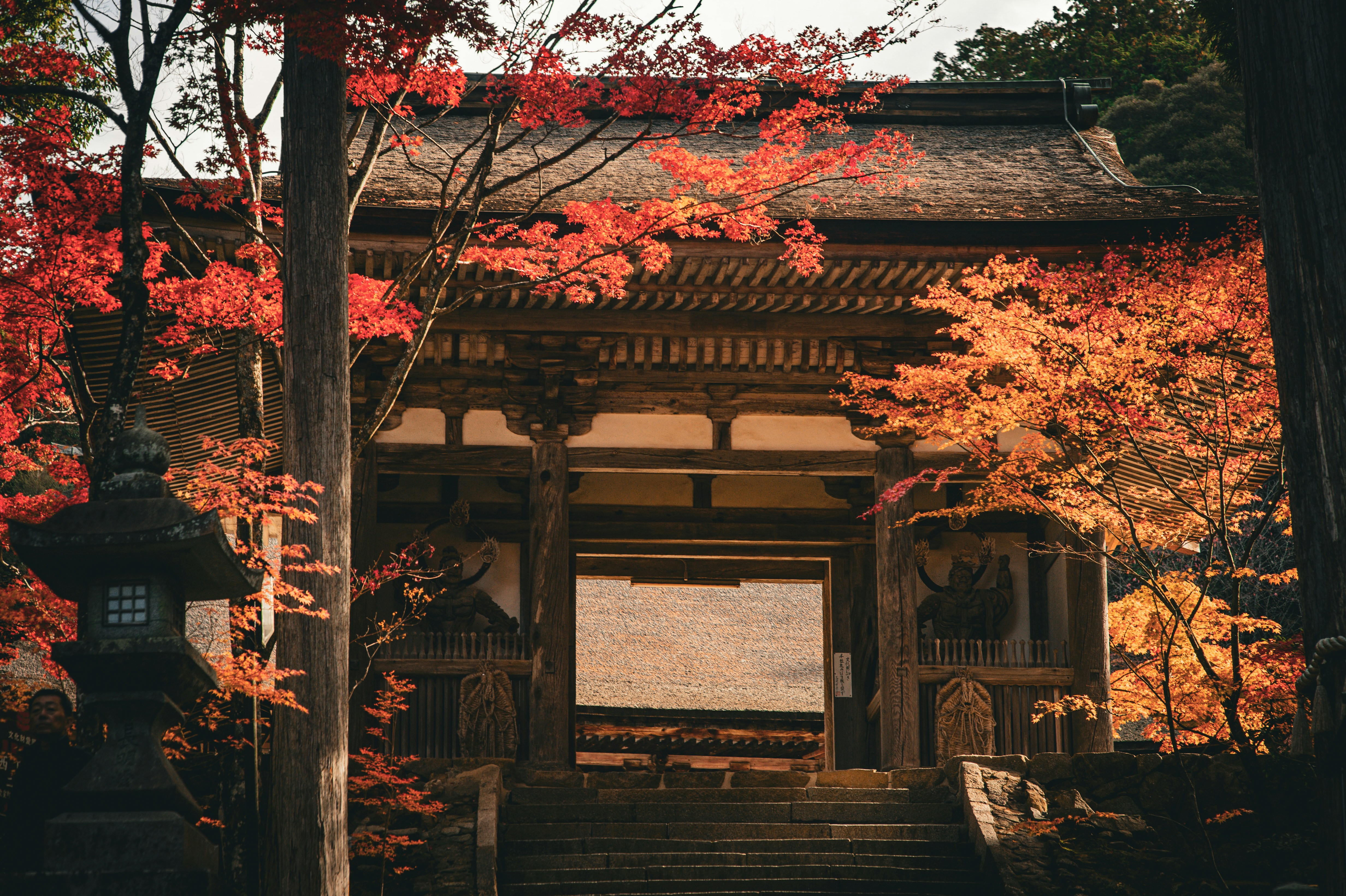 Crimson Canopy Over a Tranquil Temple Gate