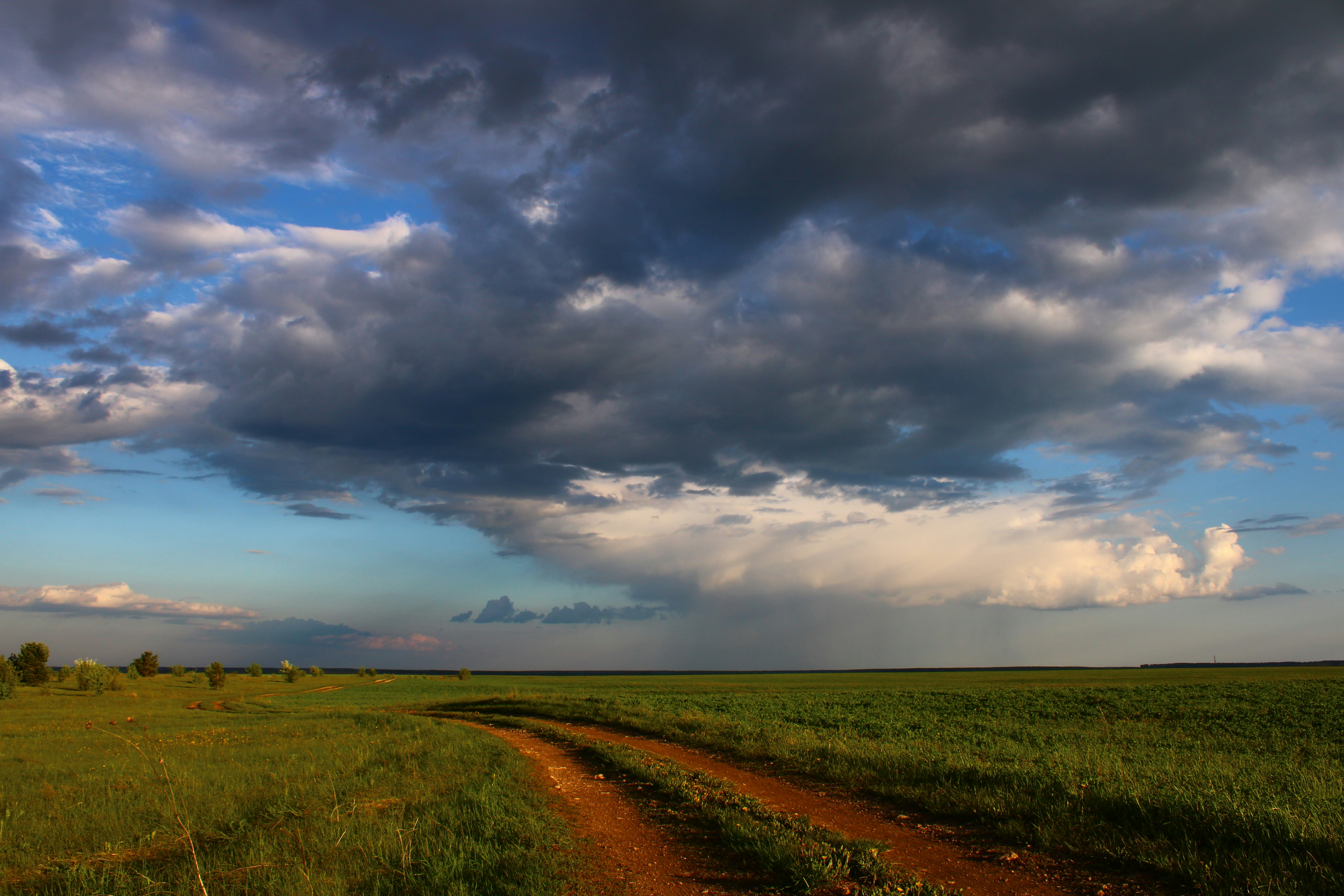 Dirt road through green field under stormy sky photo – Free Travel ...