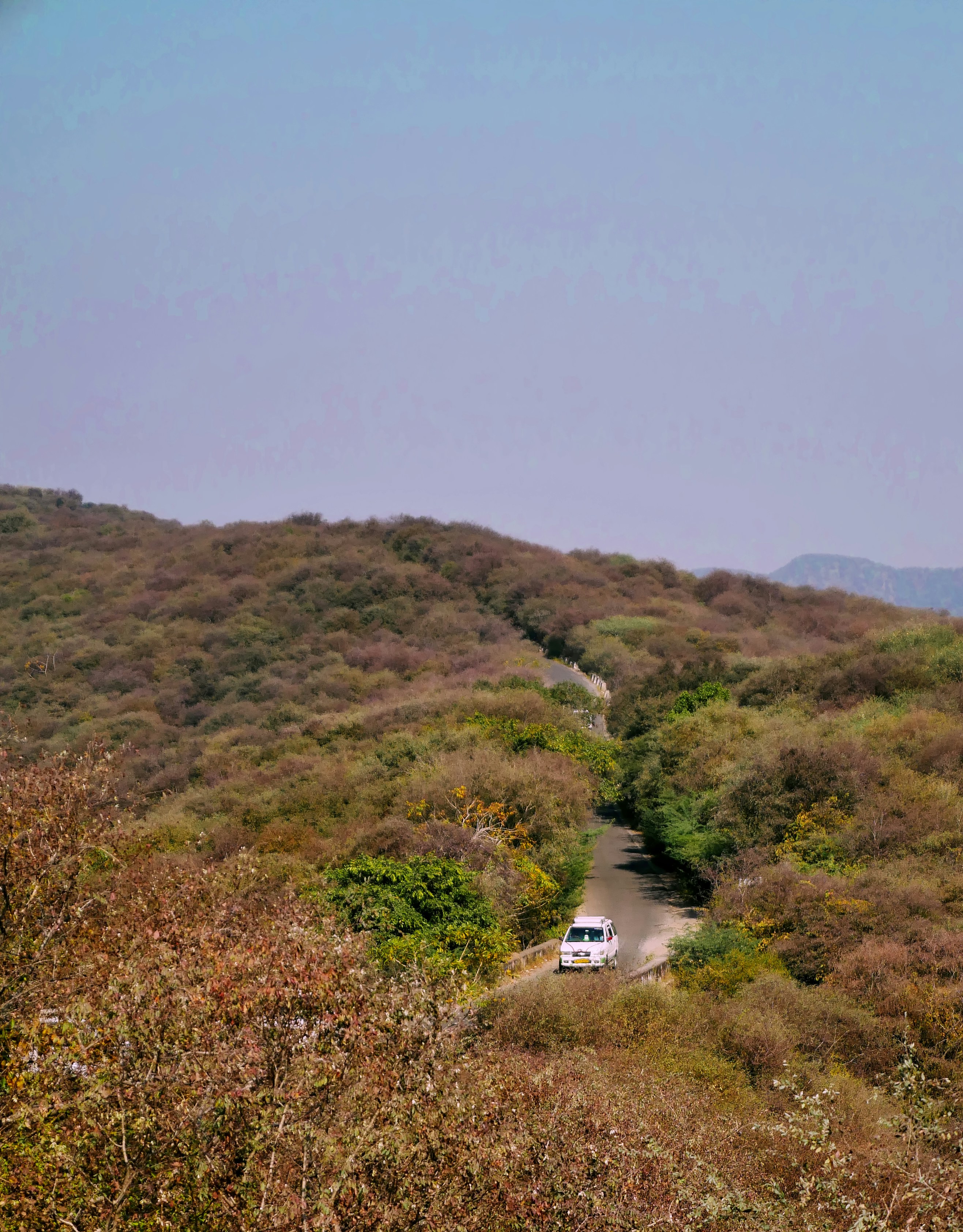White Car Winding Through Autumn Scrub on a Quiet Ridge Road