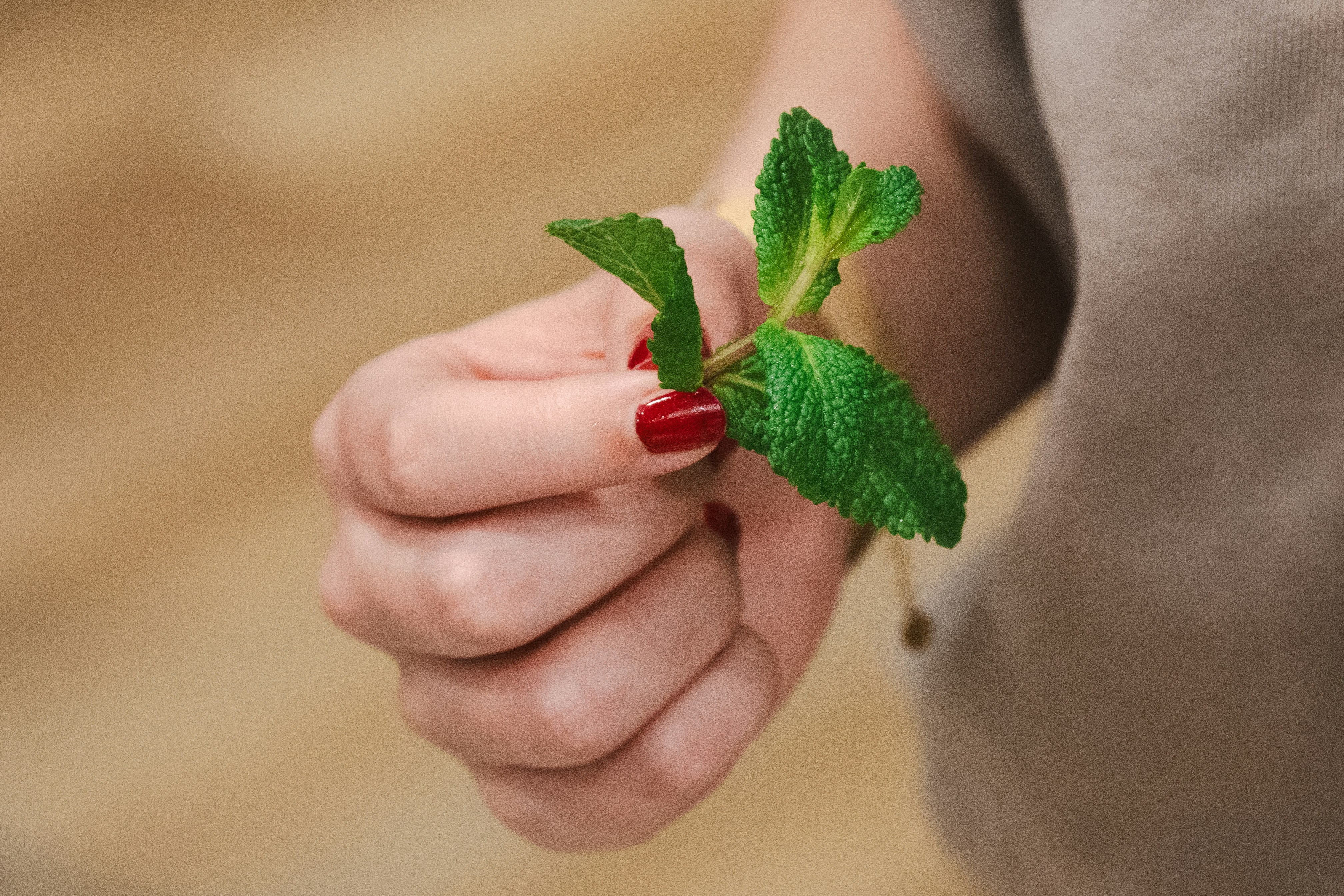 Photo by Julia Taubitz with Nikon Z6 III