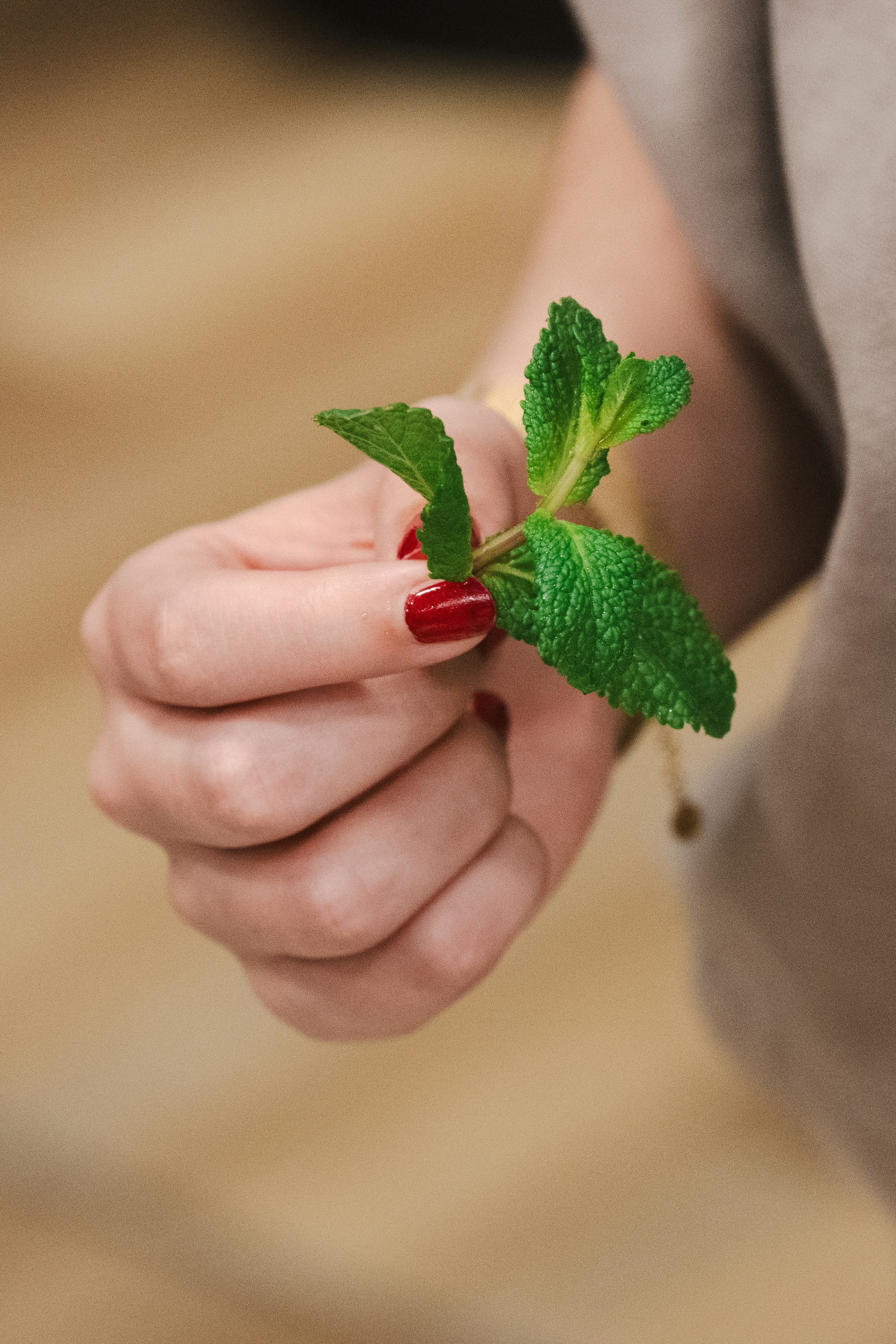 Photo by Julia Taubitz with Nikon Z6 III