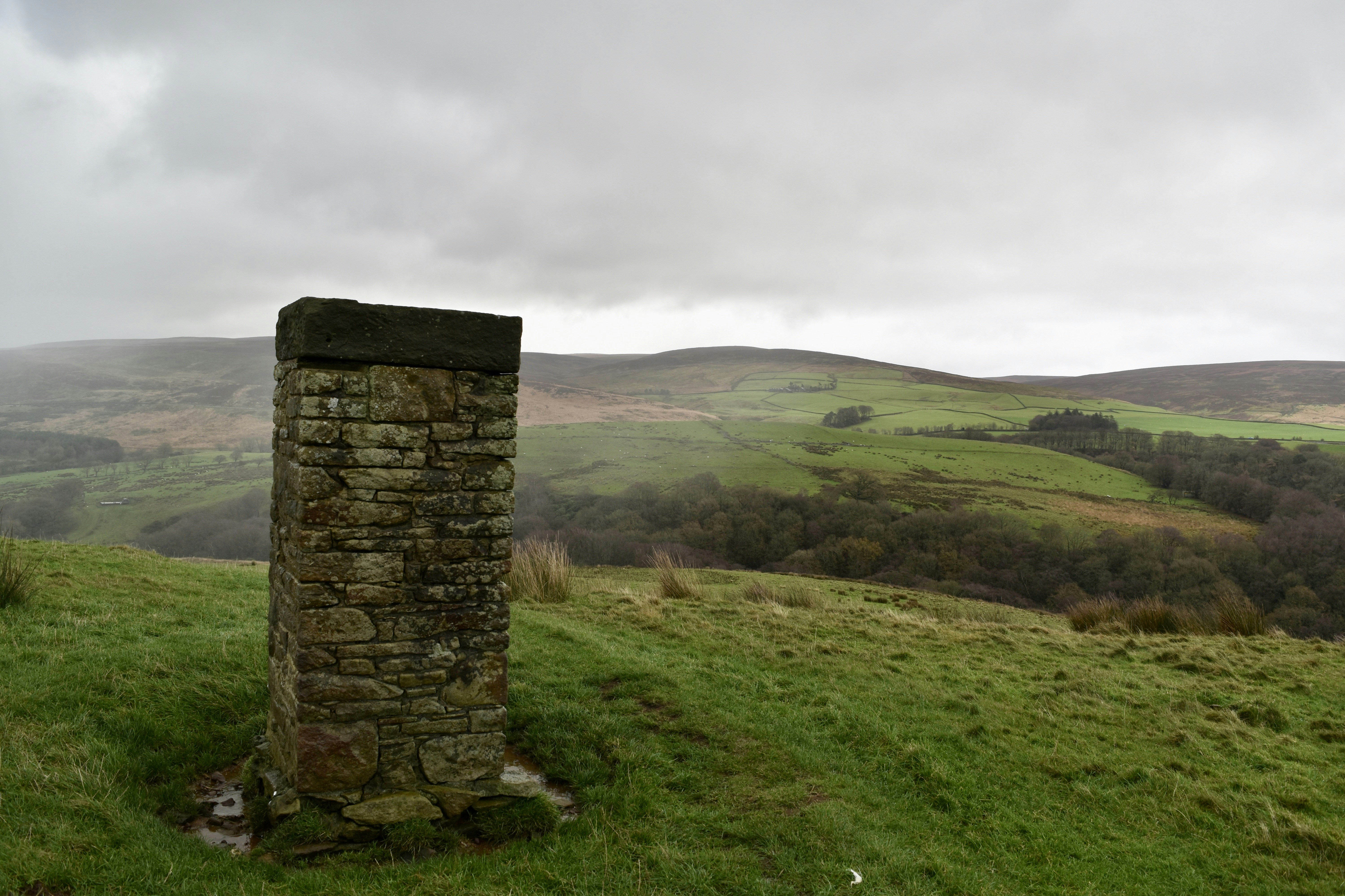 Stone Pillar on the Edge of the Moor