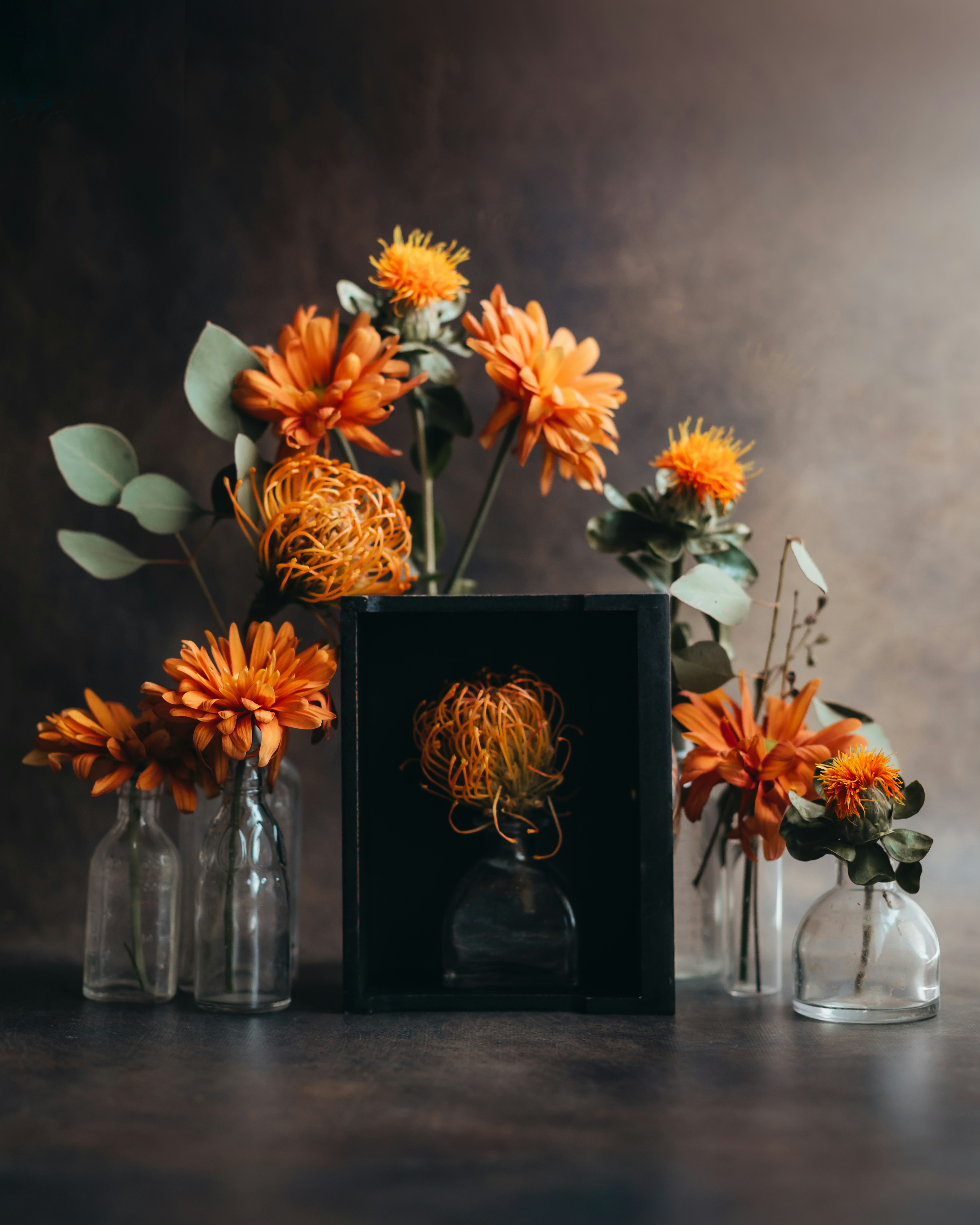 The Tangled Bloom in a Quiet Box