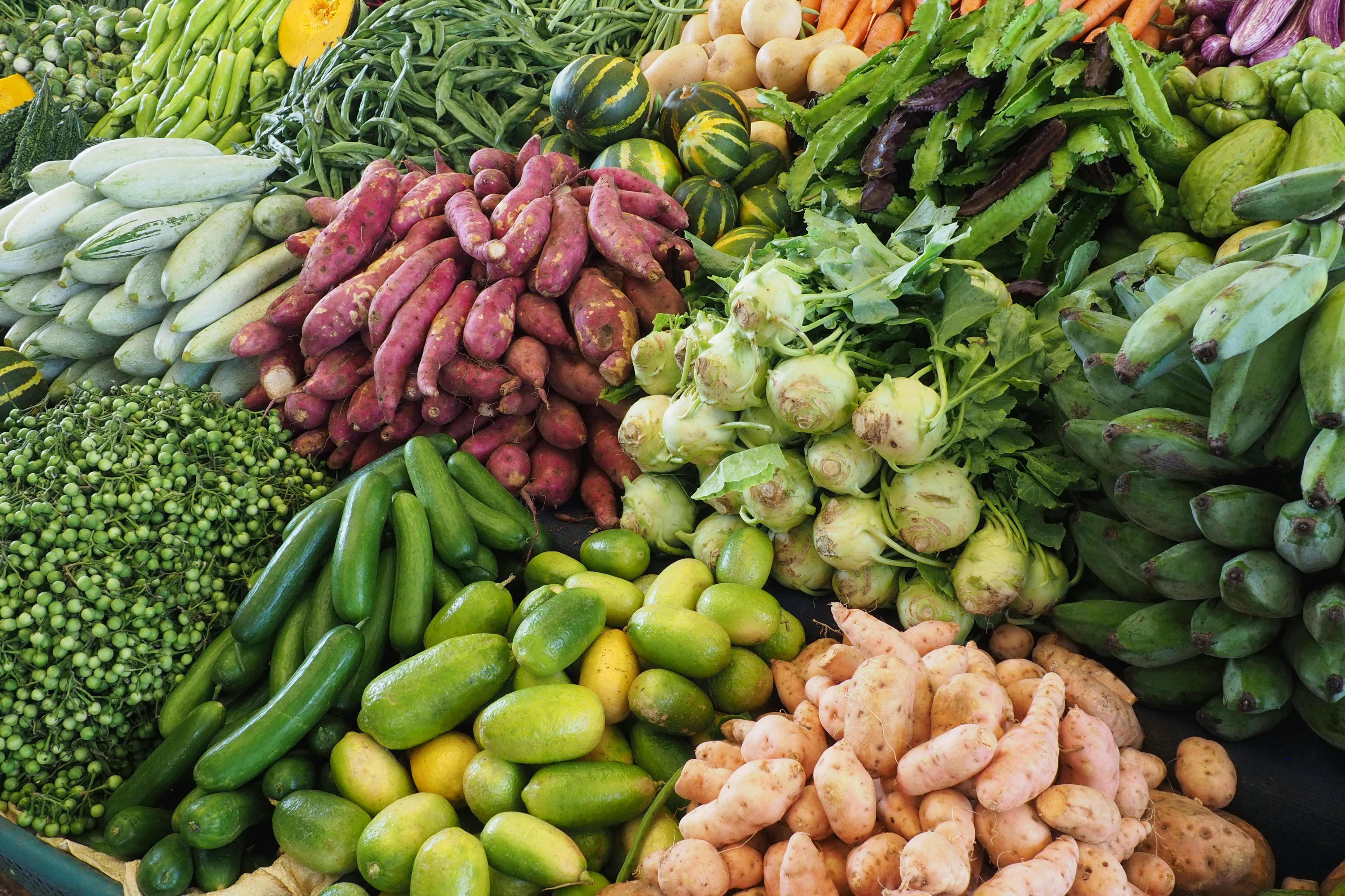 Photo by Jonathan Frank with Olympus OM-D E-M10 Mark II