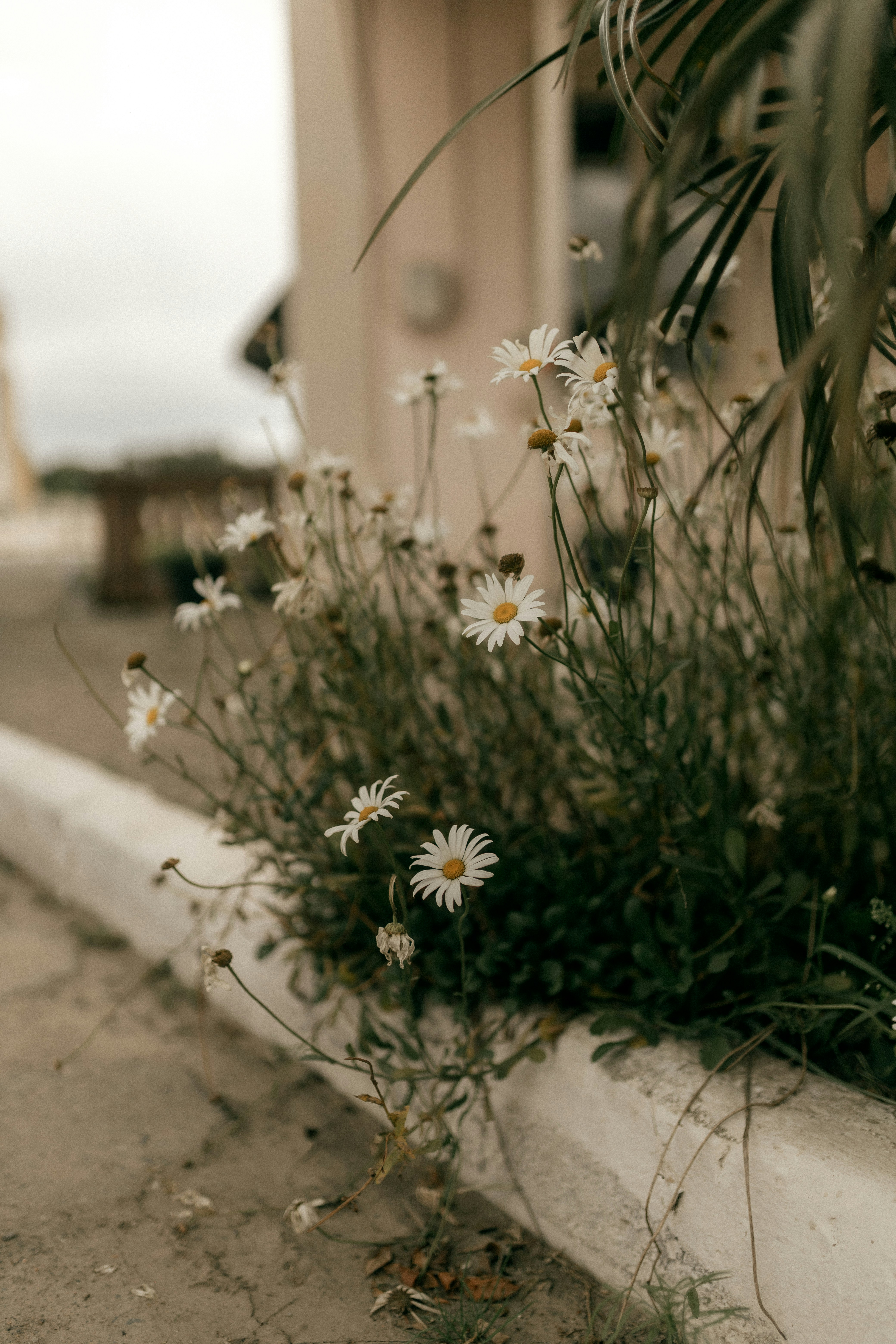 Photo by Alexander Mass with Canon EOS RP