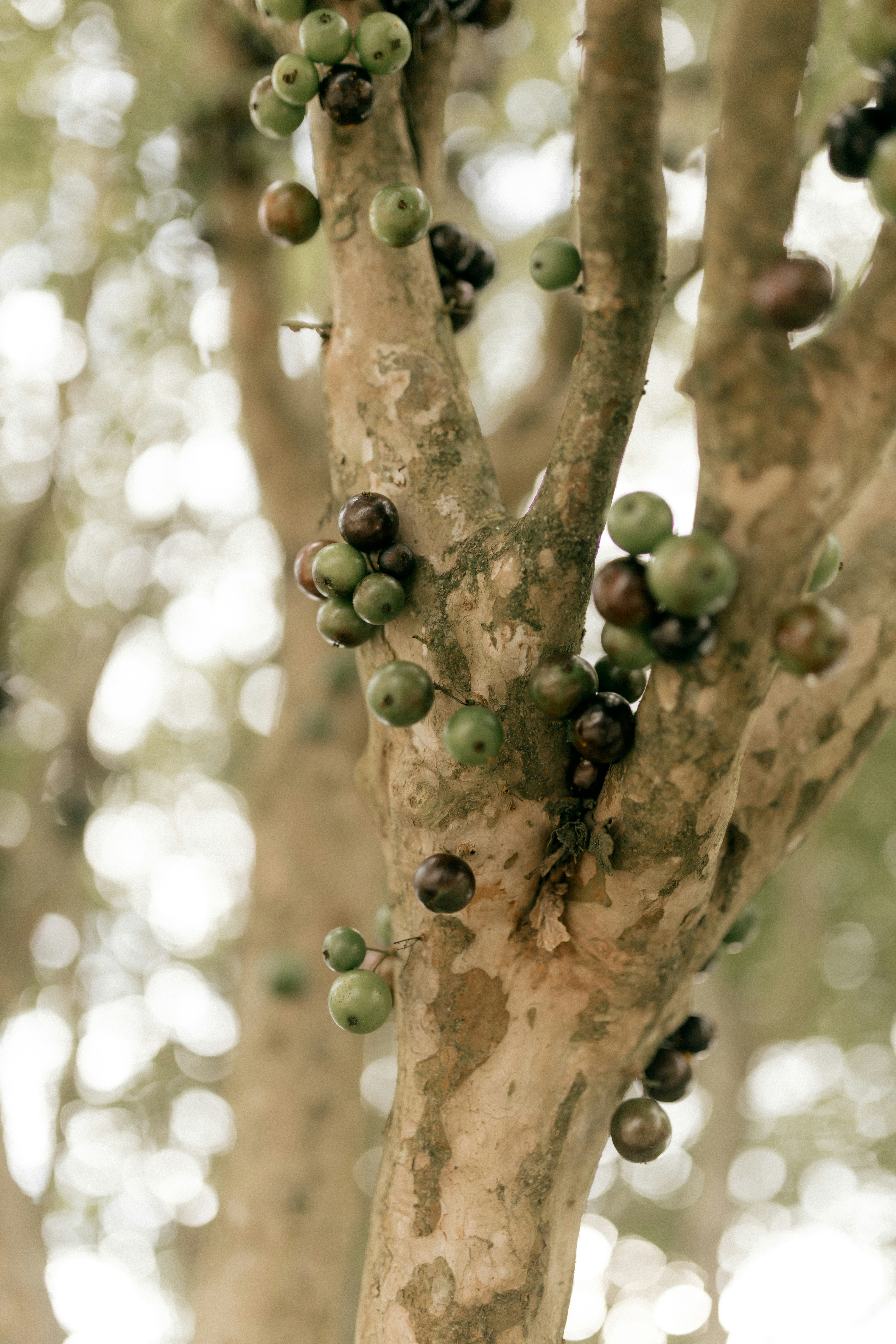 Photo by Alexander Mass with Canon EOS RP