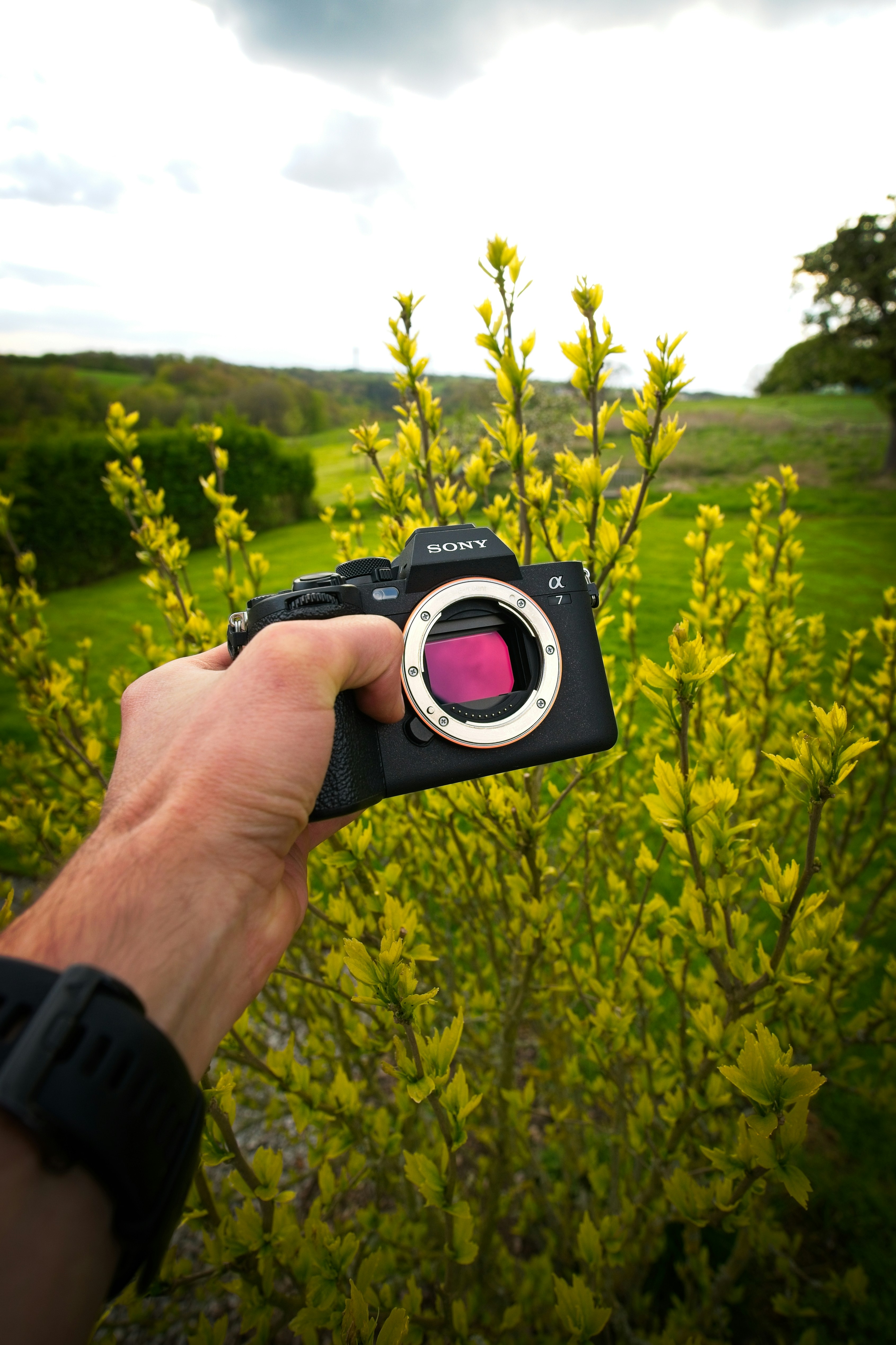 Photo by Julian Zwengel with Sony Alpha 6300