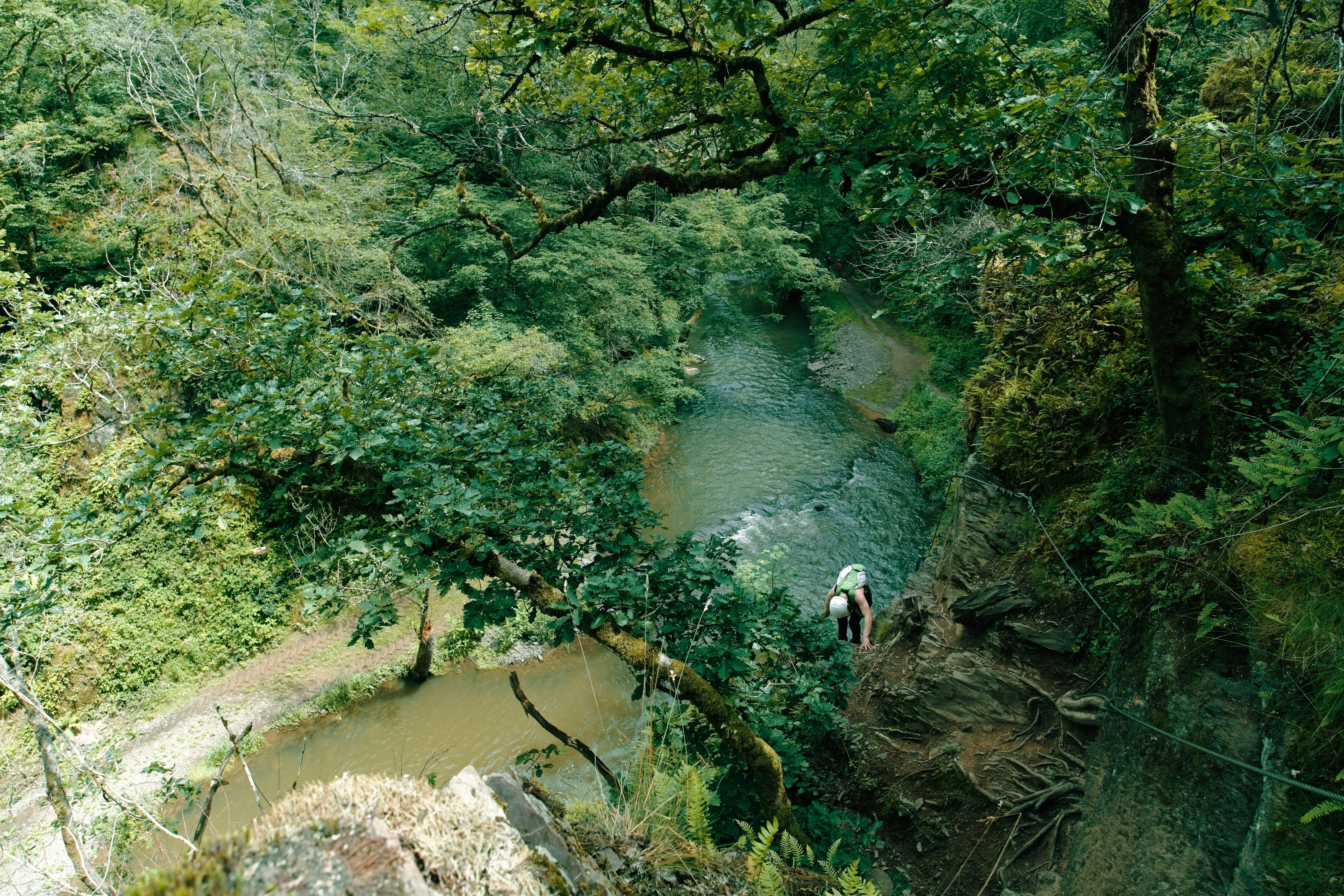 Verdant Gorge Walk: A Lone Figure by the Winding River