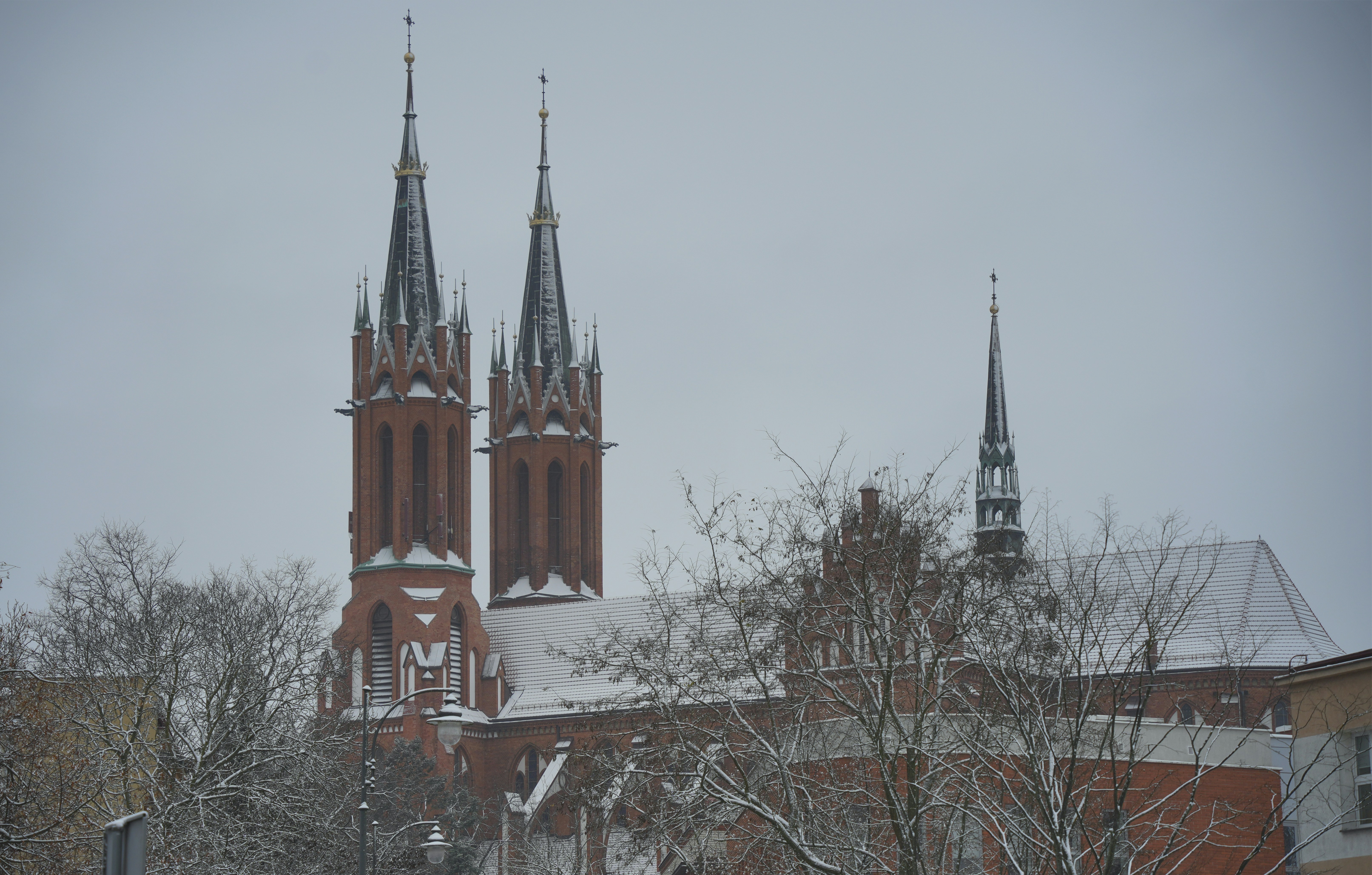Photo by Stanisław Lul with Sony Alpha 7 IV