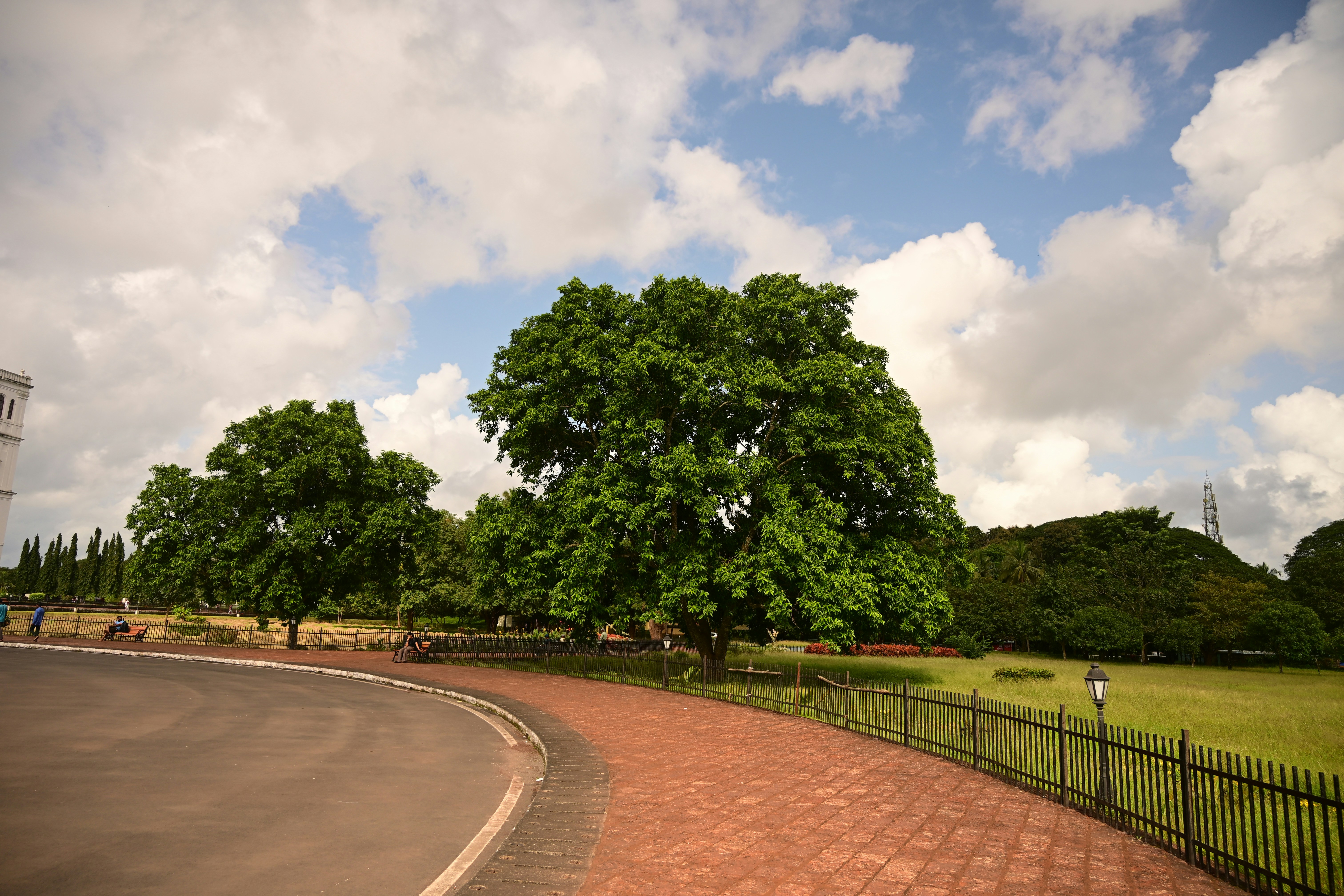 Photo by Rajesh Rajput with Nikon Z6 III