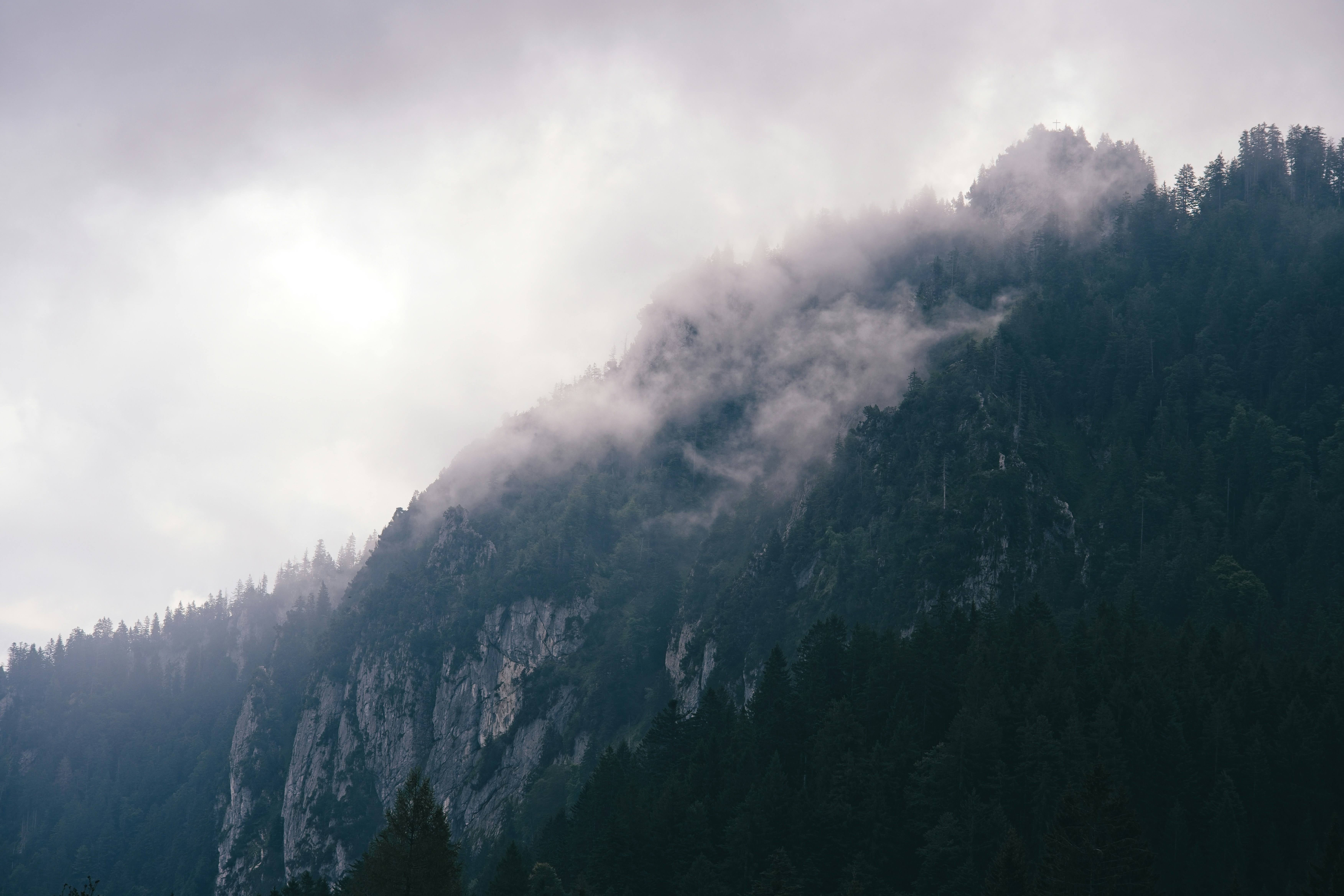 Photo by Julian Zwengel with Sony Alpha 7 IV