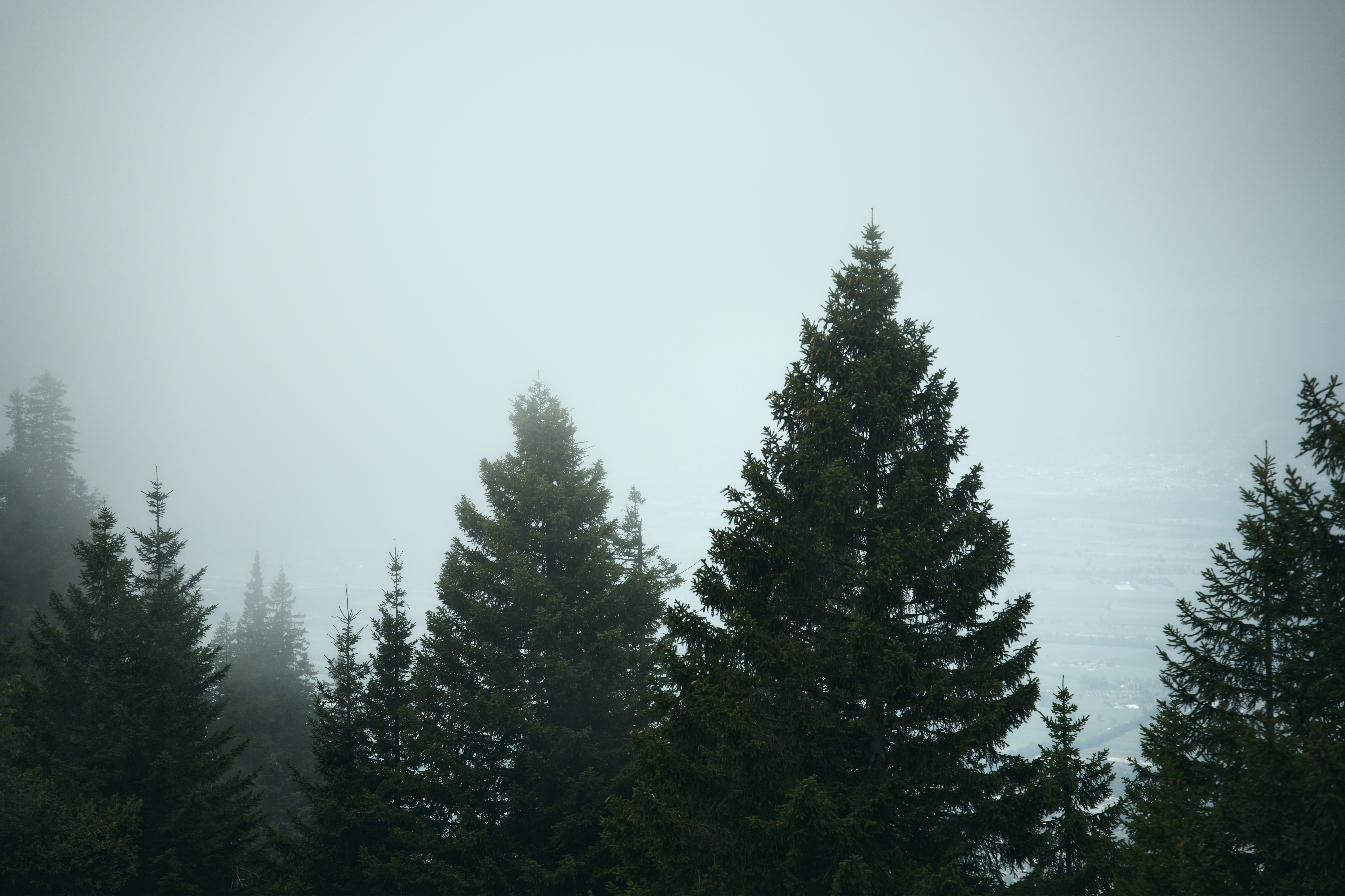 Photo by Julian Zwengel with Sony Alpha 7 IV