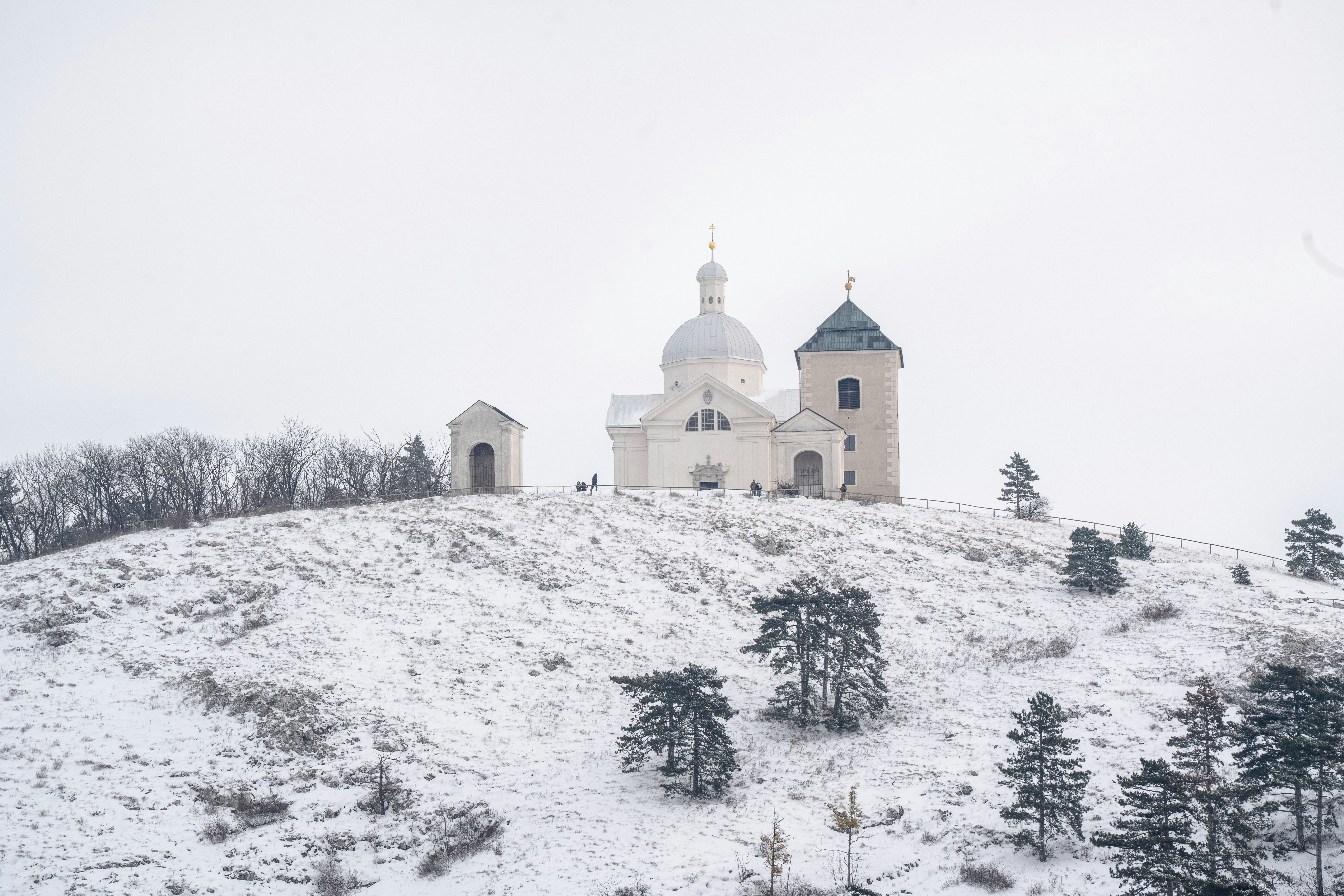 Photo by Jan Suchánek with Sony Alpha 7 IV