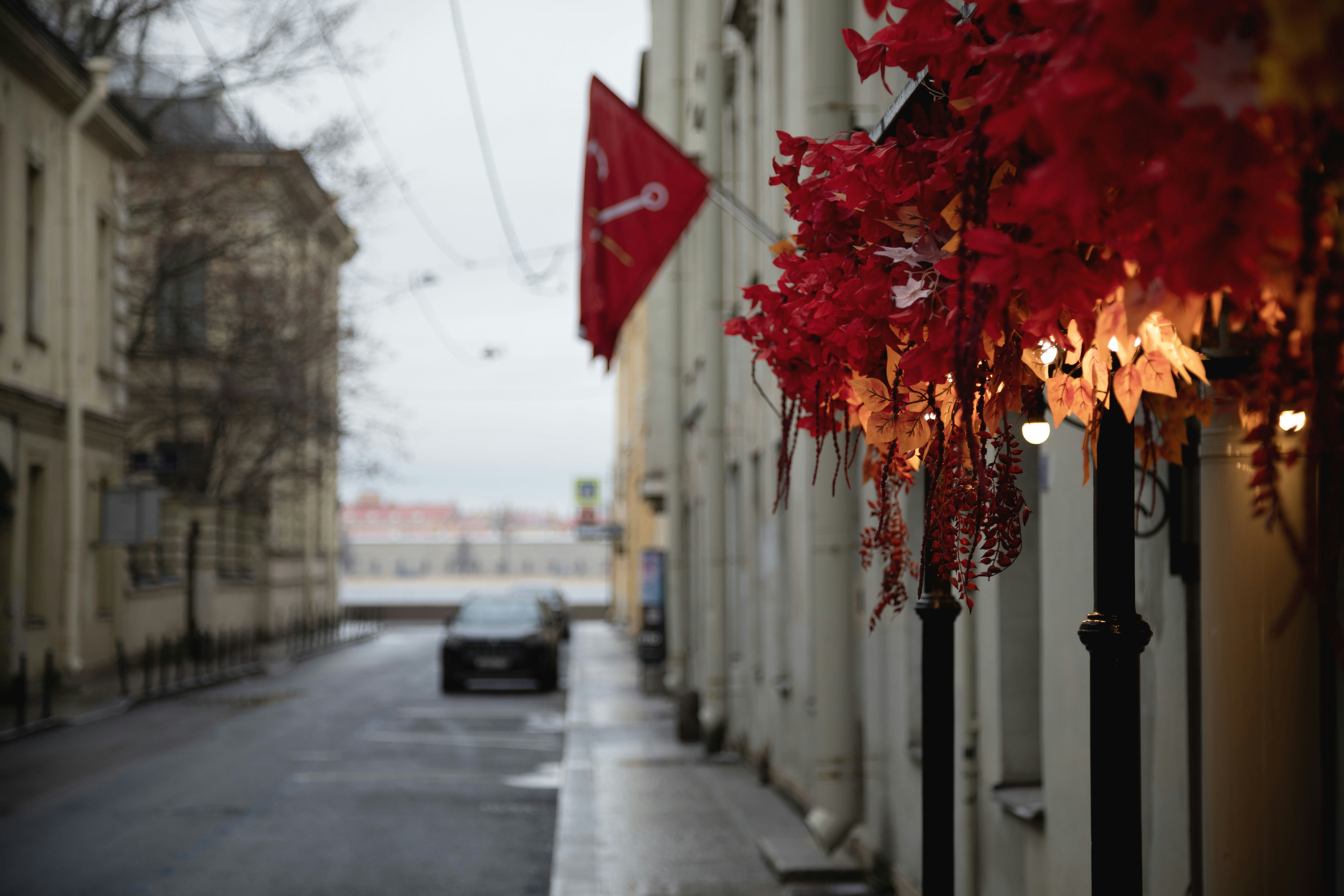 Photo by Belov Sergey with Canon EOS 5D Mark IV