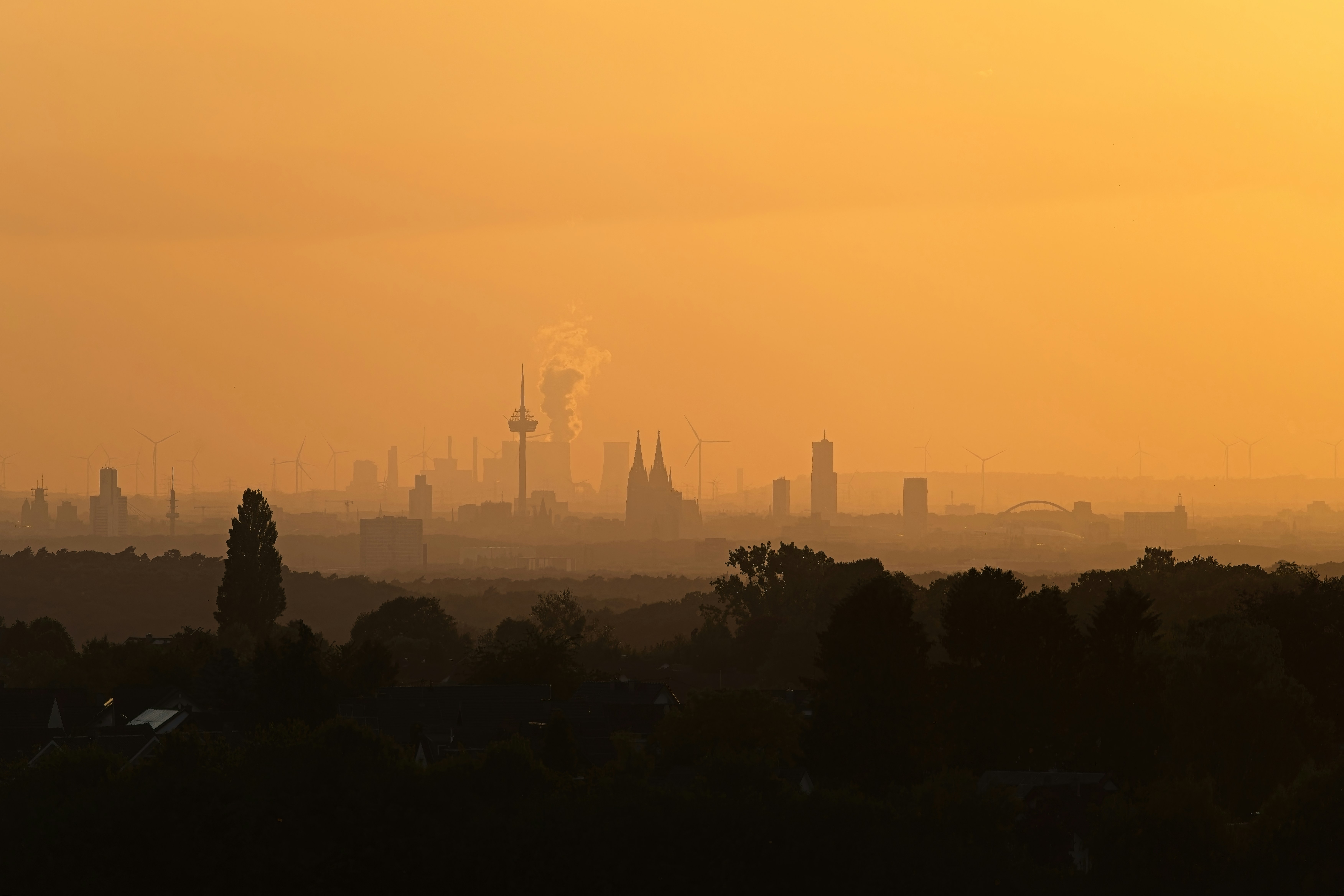 Photo by Julian Zwengel with Sony Alpha 7 IV