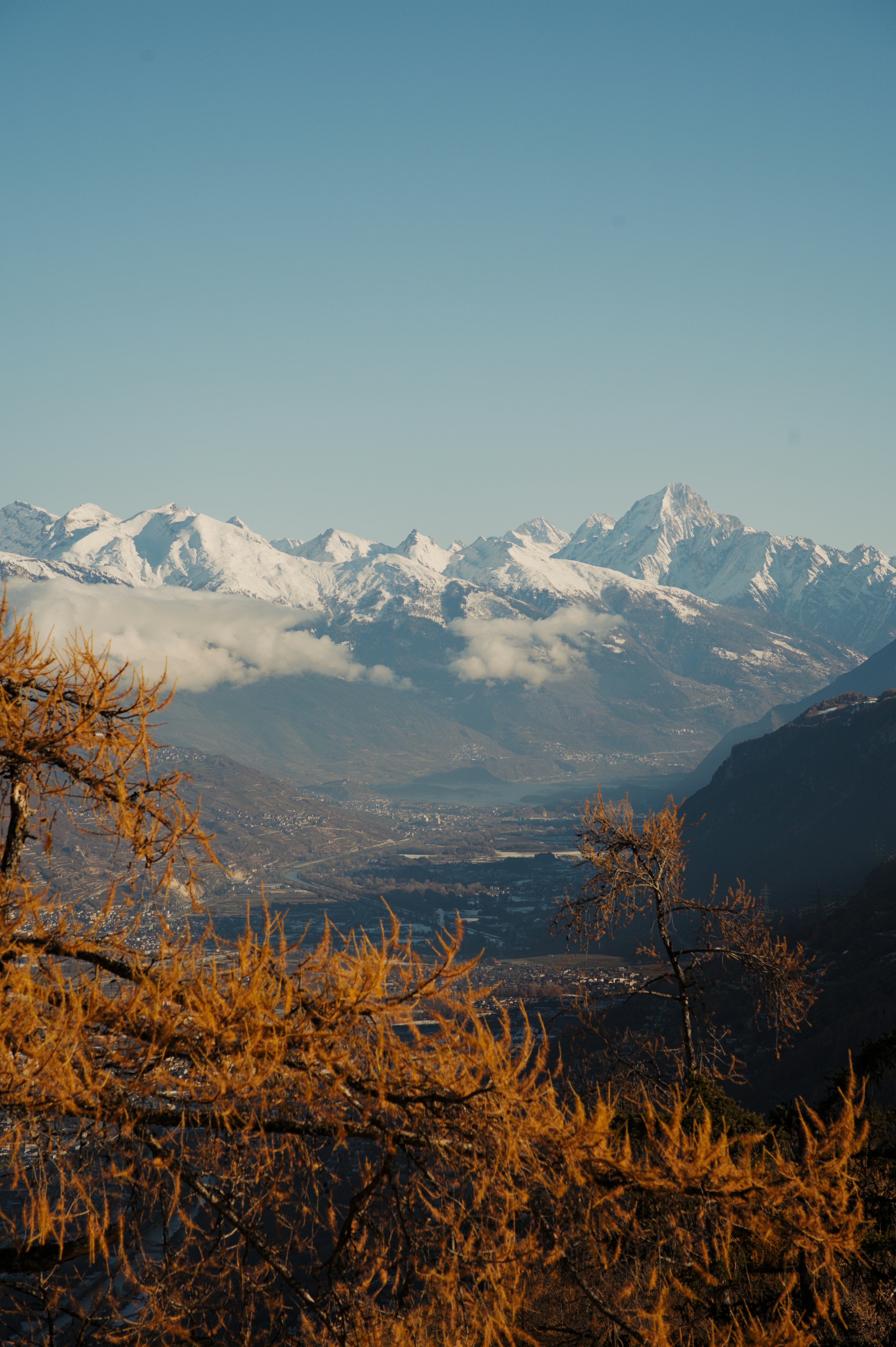 Photo by Felix Vericel with Sony Alpha 7 III