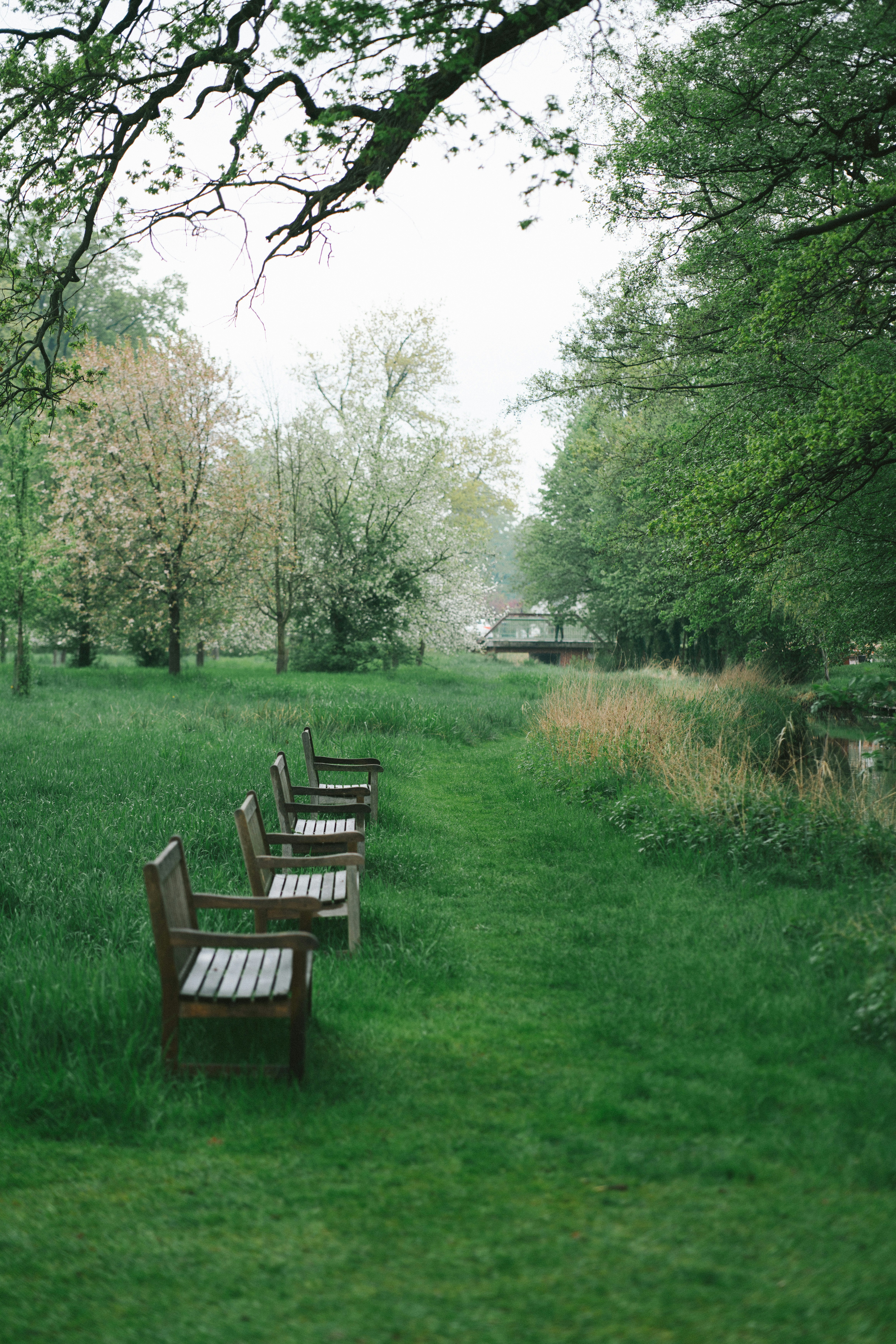 Photo by Oliver Guhr with Sony Alpha 7 IV