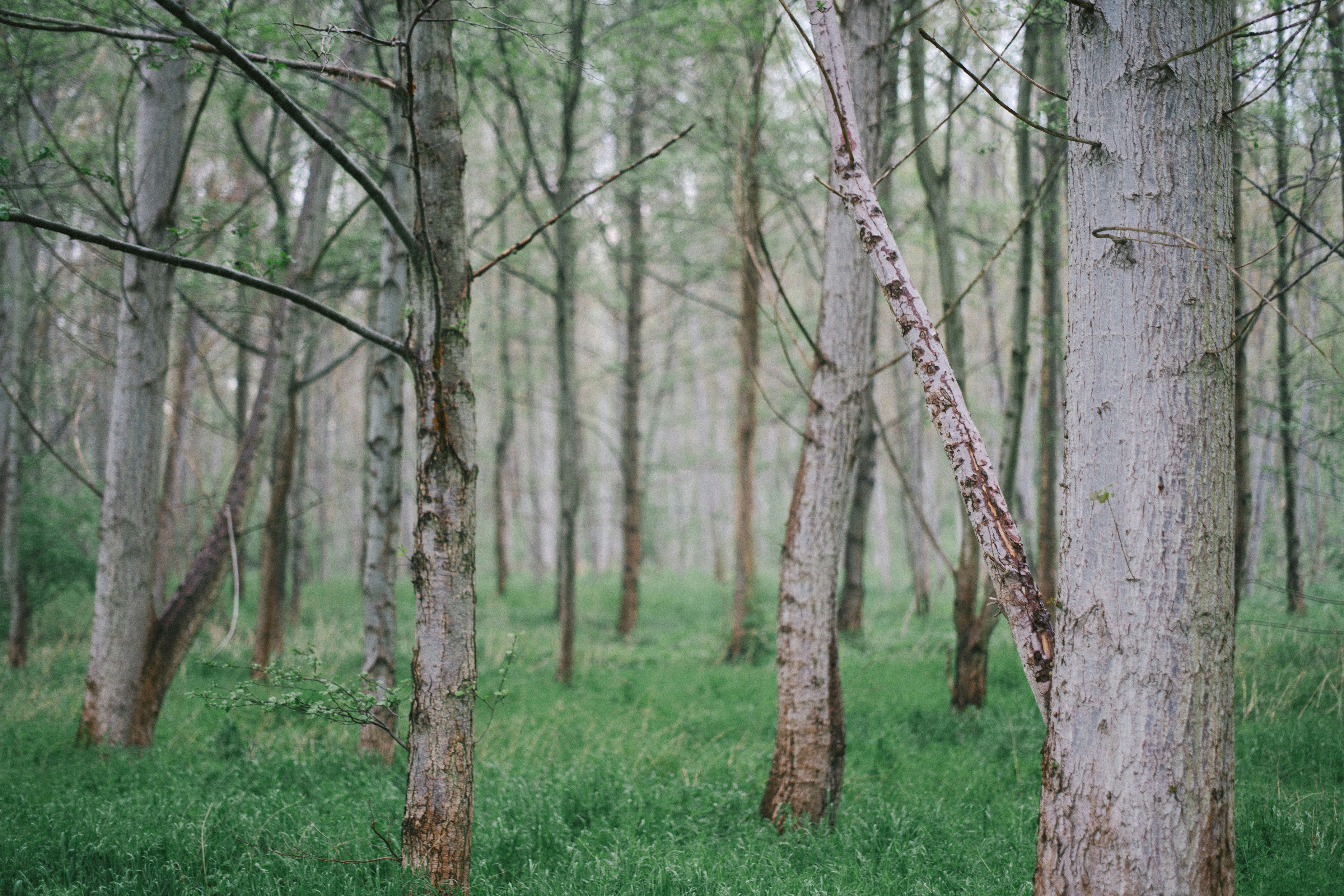 Photo by Oliver Guhr with Sony Alpha 7 IV