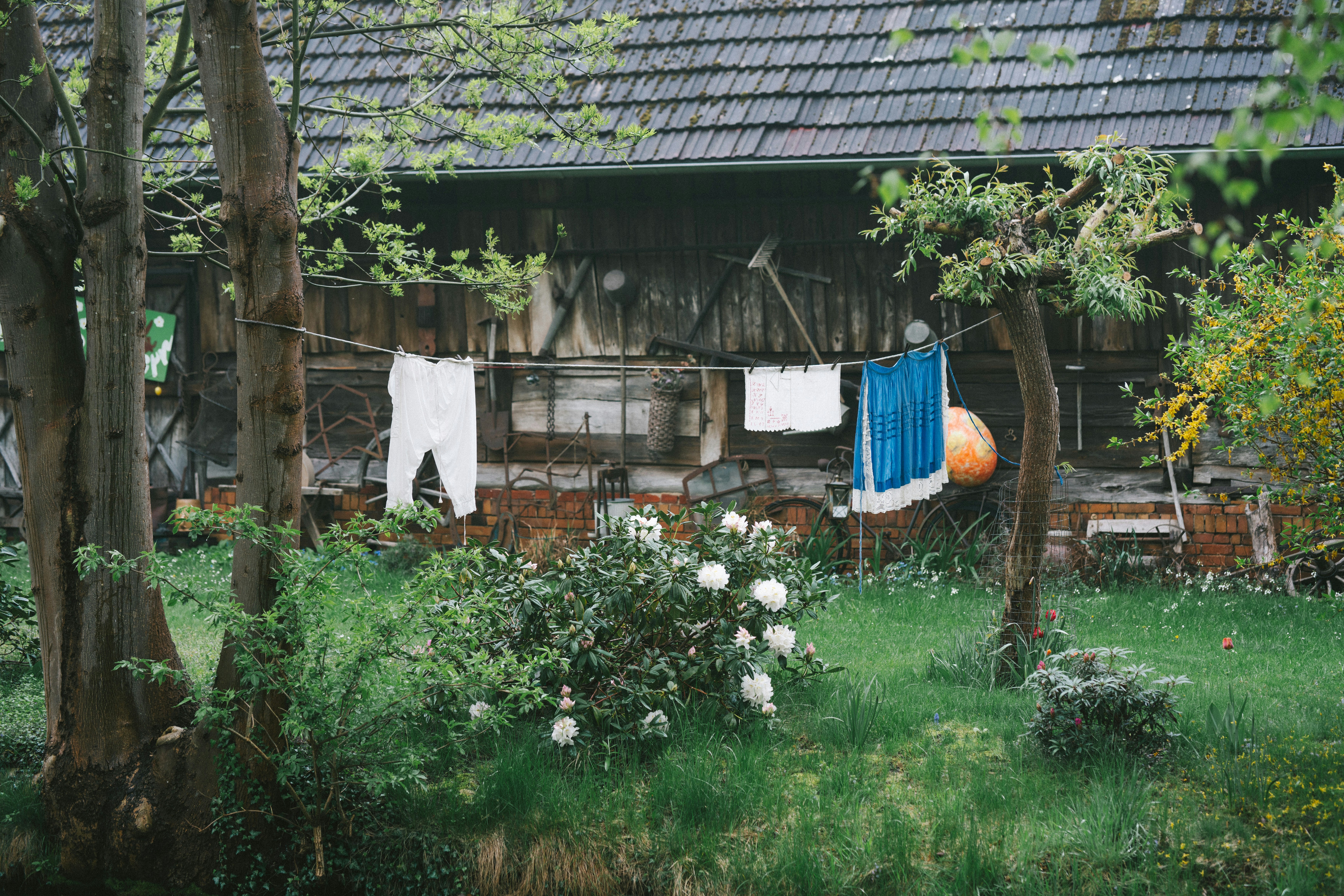 Photo by Oliver Guhr with Sony Alpha 7 IV