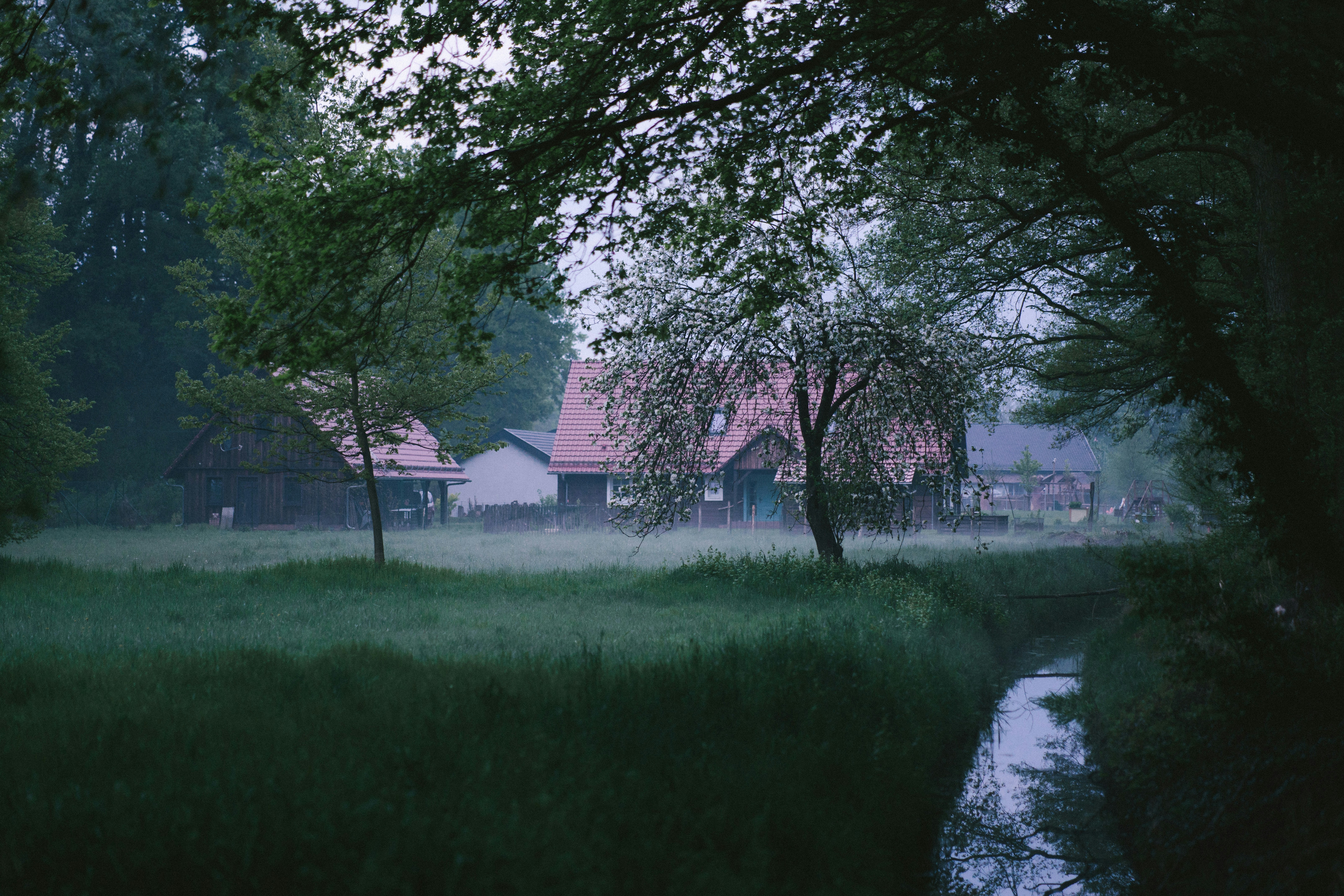 Photo by Oliver Guhr with Sony Alpha 7 IV