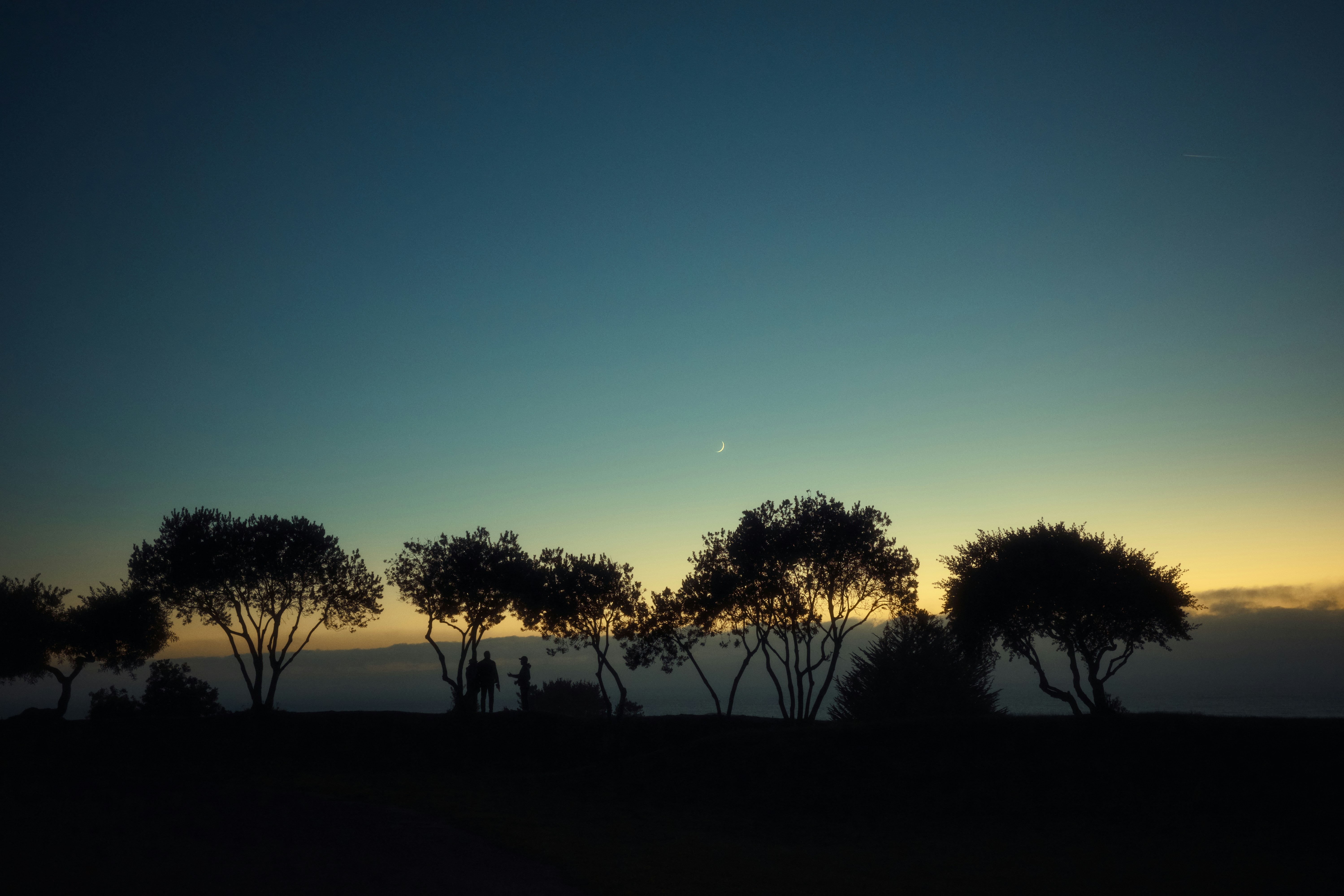 Photo by Fabio Sasso with Ricoh GR IIIx