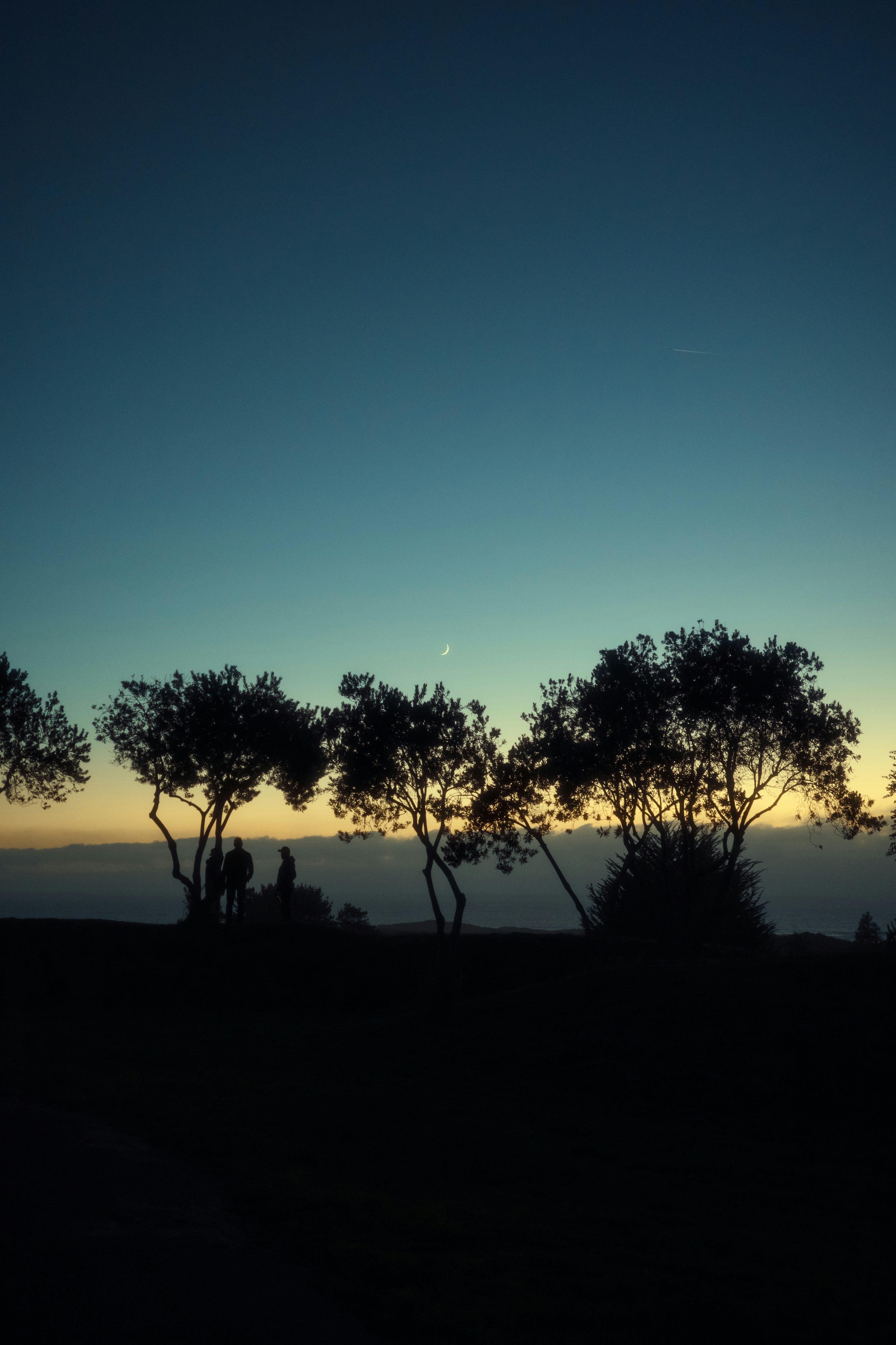 Photo by Fabio Sasso with Ricoh GR IIIx